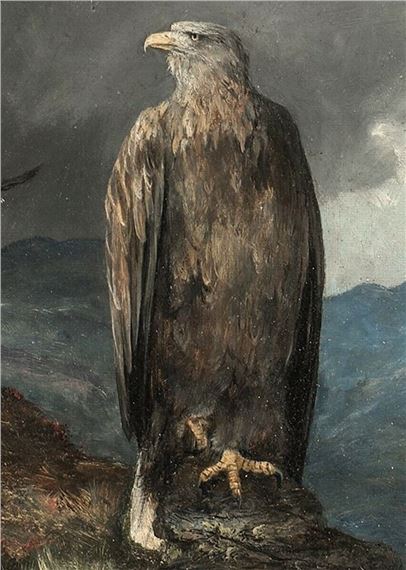 James Faed Sr. | PORTRAIT OF A WHITE TAILED SEA EAGLE (19th Century ...