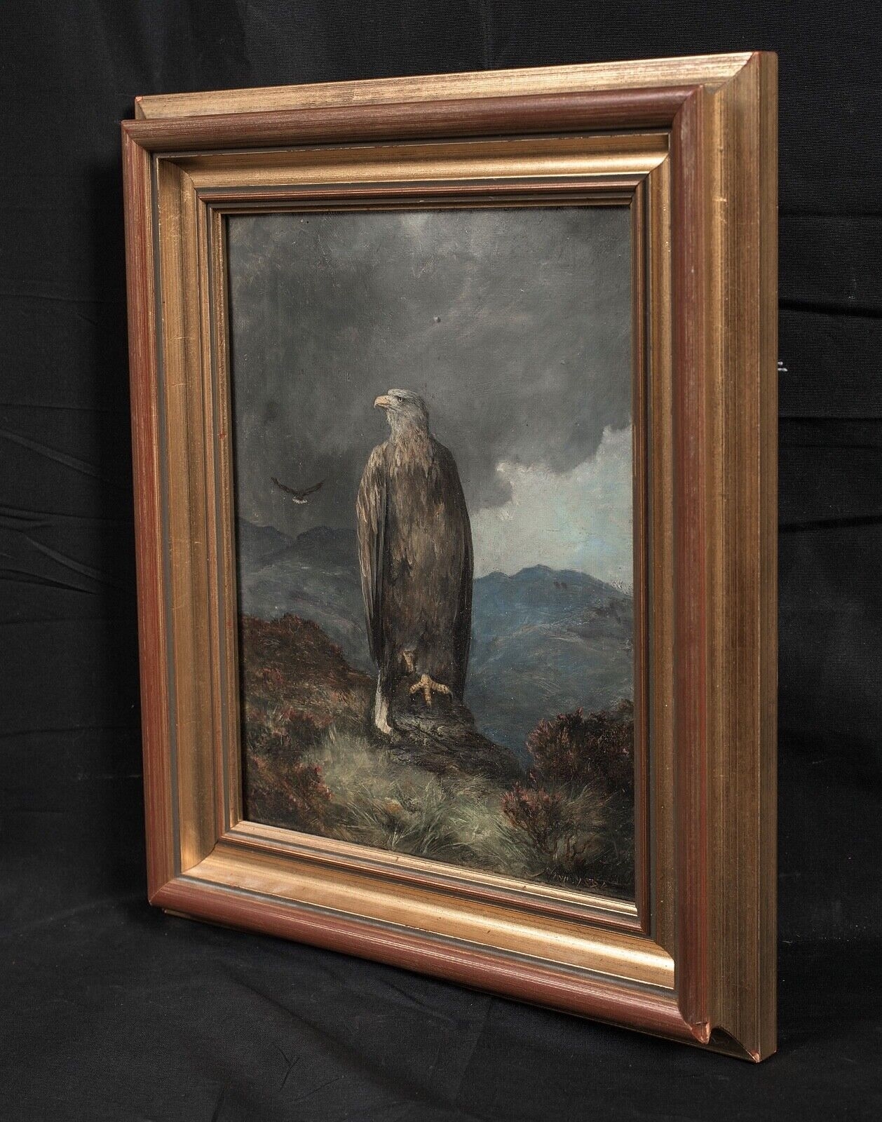 James Faed Sr. | PORTRAIT OF A WHITE TAILED SEA EAGLE (19th Century ...