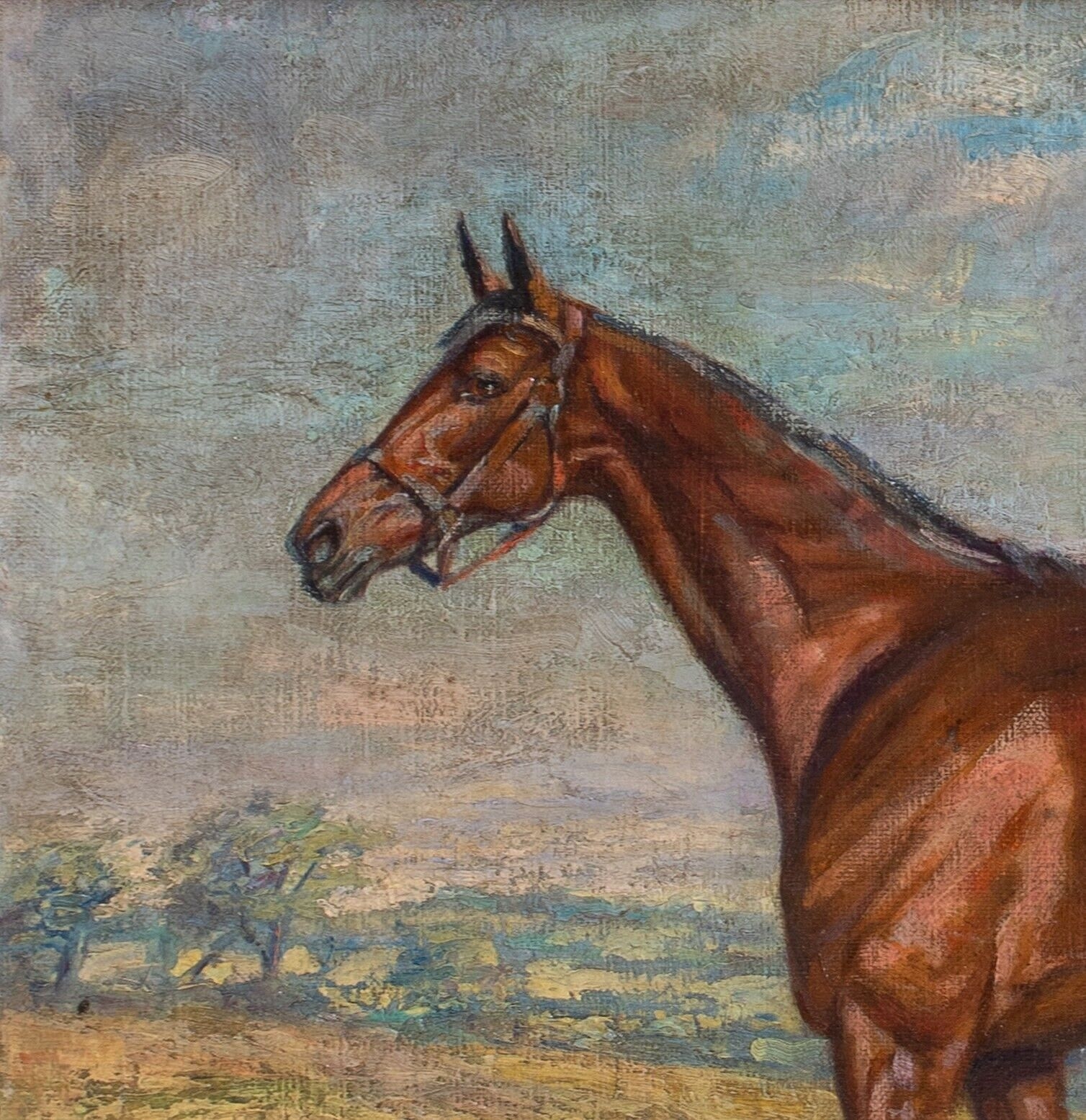 Margaret Collyer | PORTRAIT OF A RACEHORSE WILTON (20th Century ...