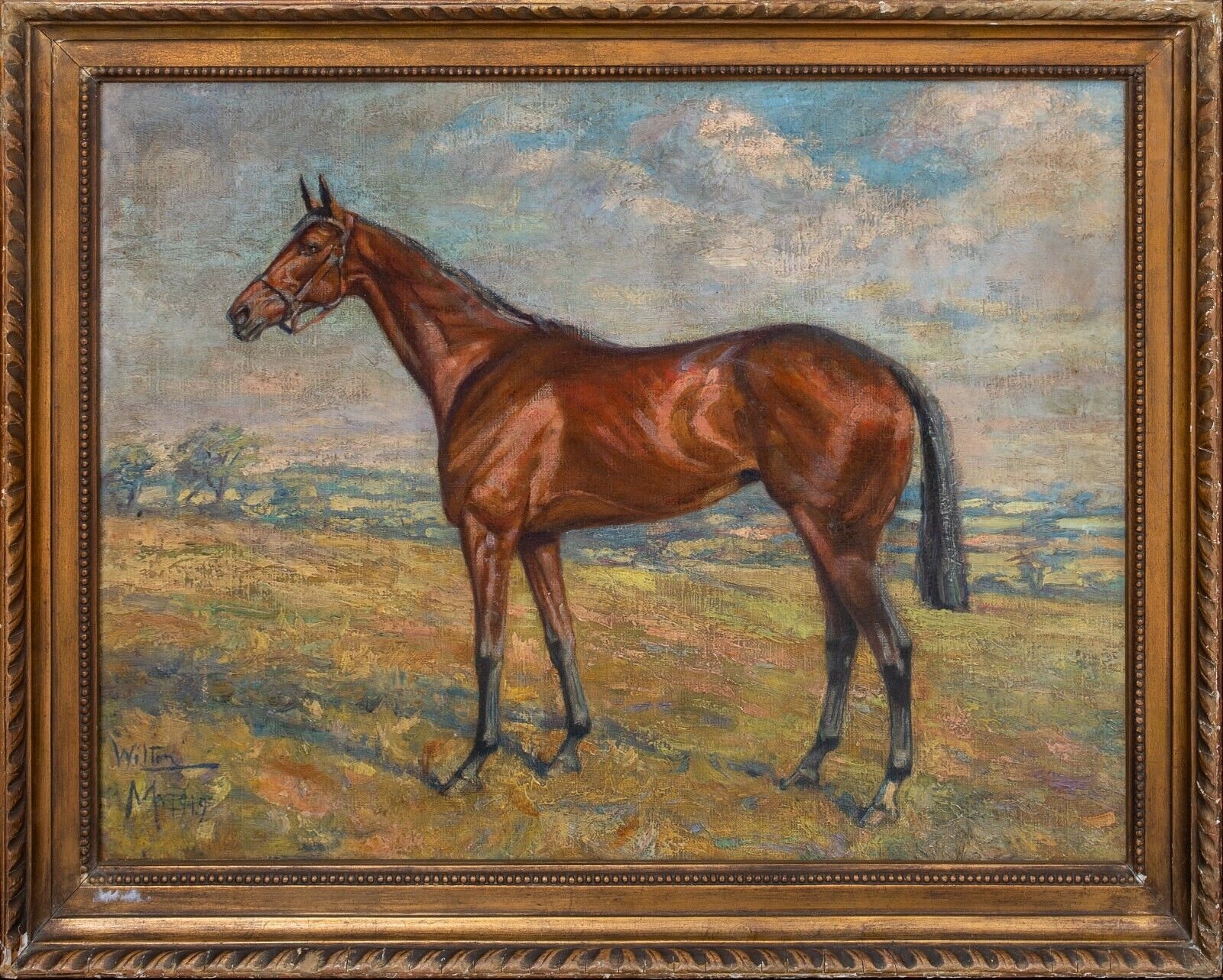 Margaret Collyer | PORTRAIT OF A RACEHORSE WILTON (20th Century ...