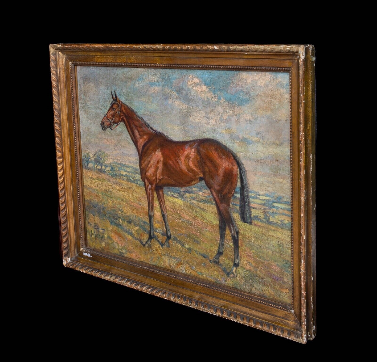 Margaret Collyer | PORTRAIT OF A RACEHORSE WILTON (20th Century ...