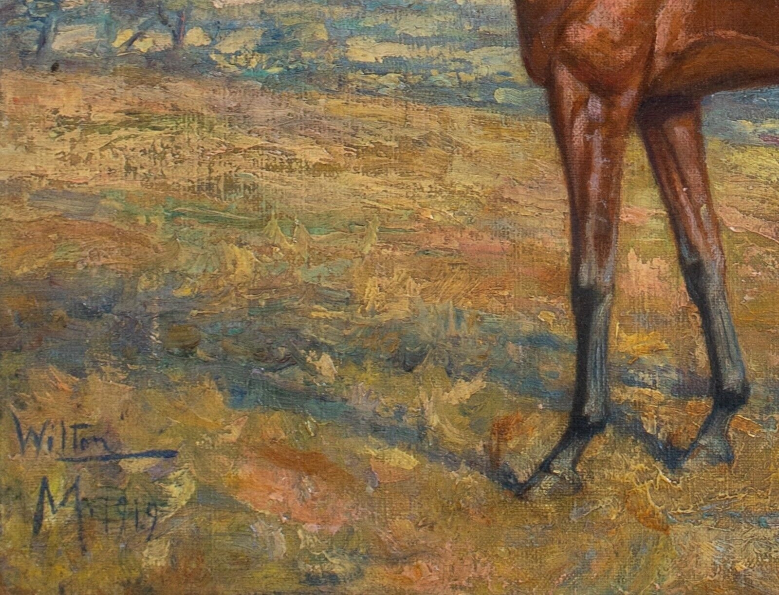 Margaret Collyer | PORTRAIT OF A RACEHORSE WILTON (20th Century ...