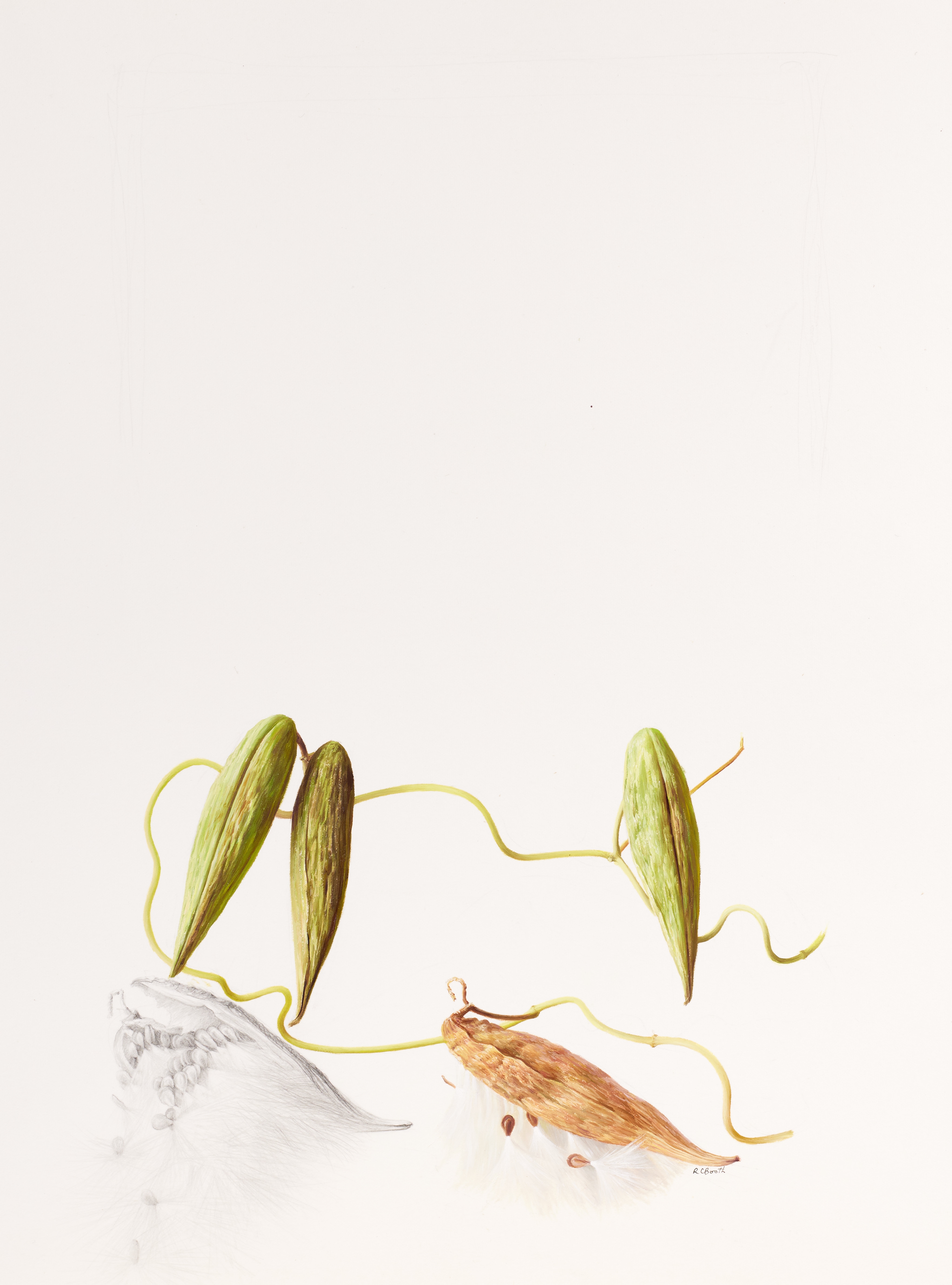 Raymond Booth | A collection of thirteen illustrations | MutualArt