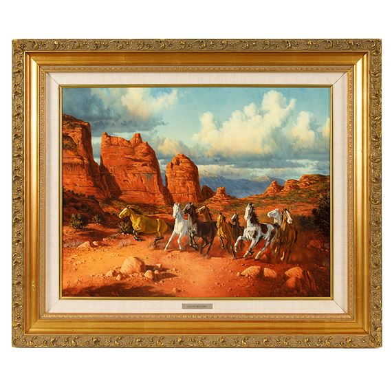 Fred Lucas | Arizona Mustangs | MutualArt