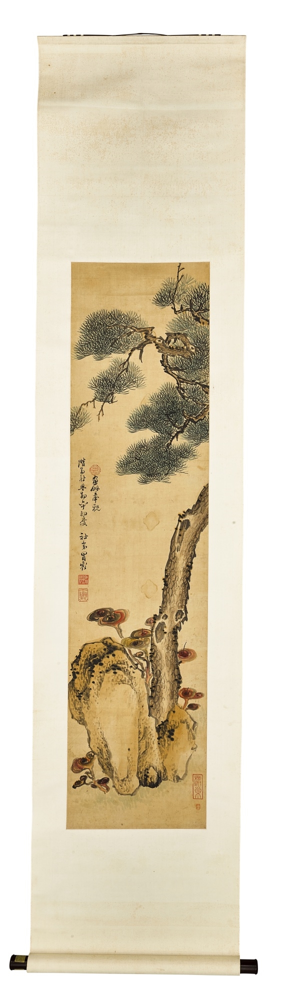 Mao Xiang | Pine and Lingzhi | MutualArt