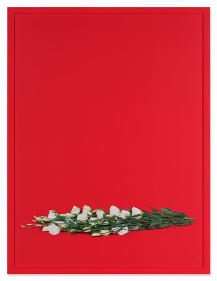 Sarah Charlesworth | A Simple Text (White Flowers) (2005) | MutualArt