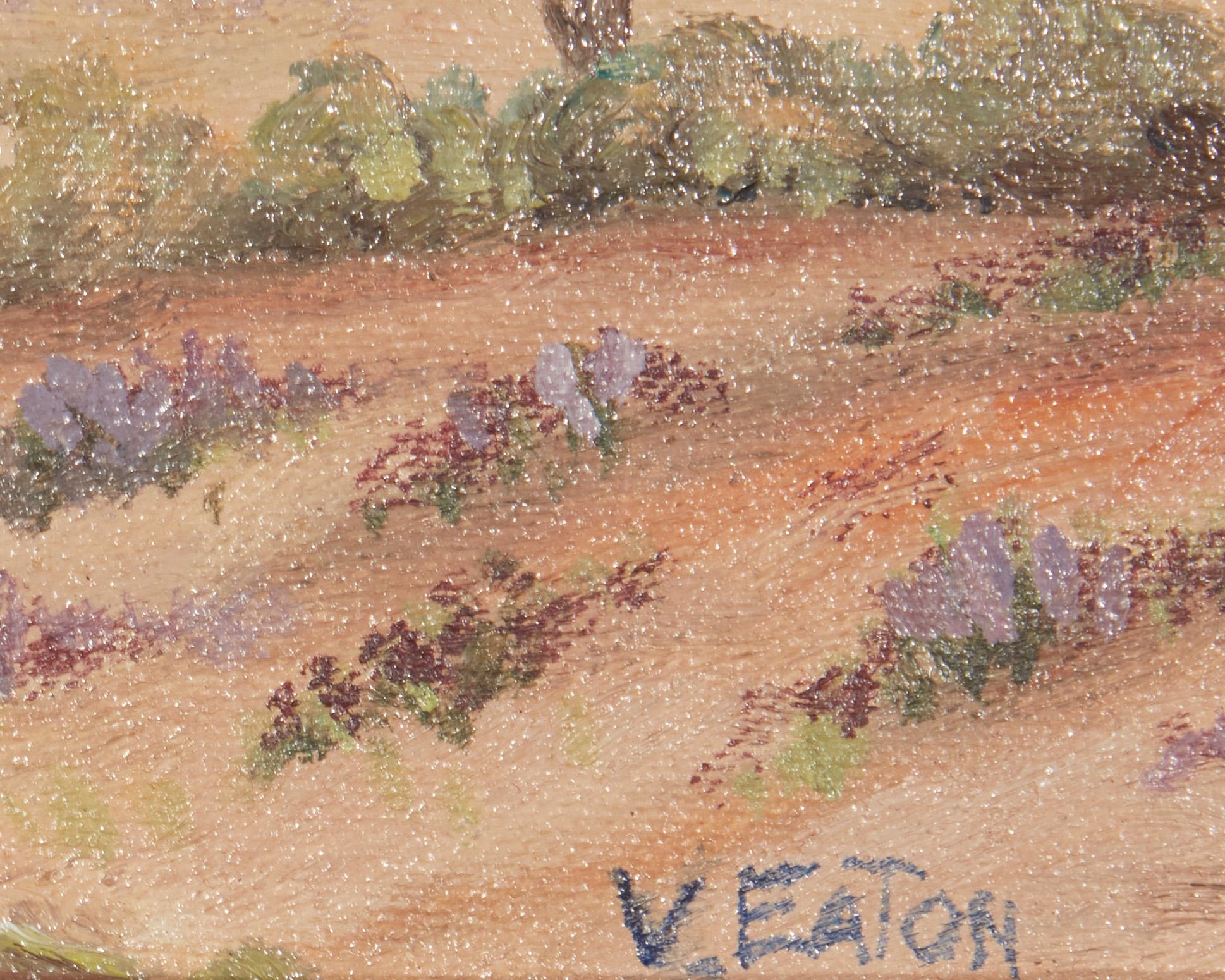Valoy Eaton | Desert peaks at sunset | MutualArt
