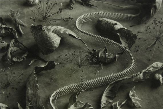 Jane Clark | 2 Artworks | MutualArt