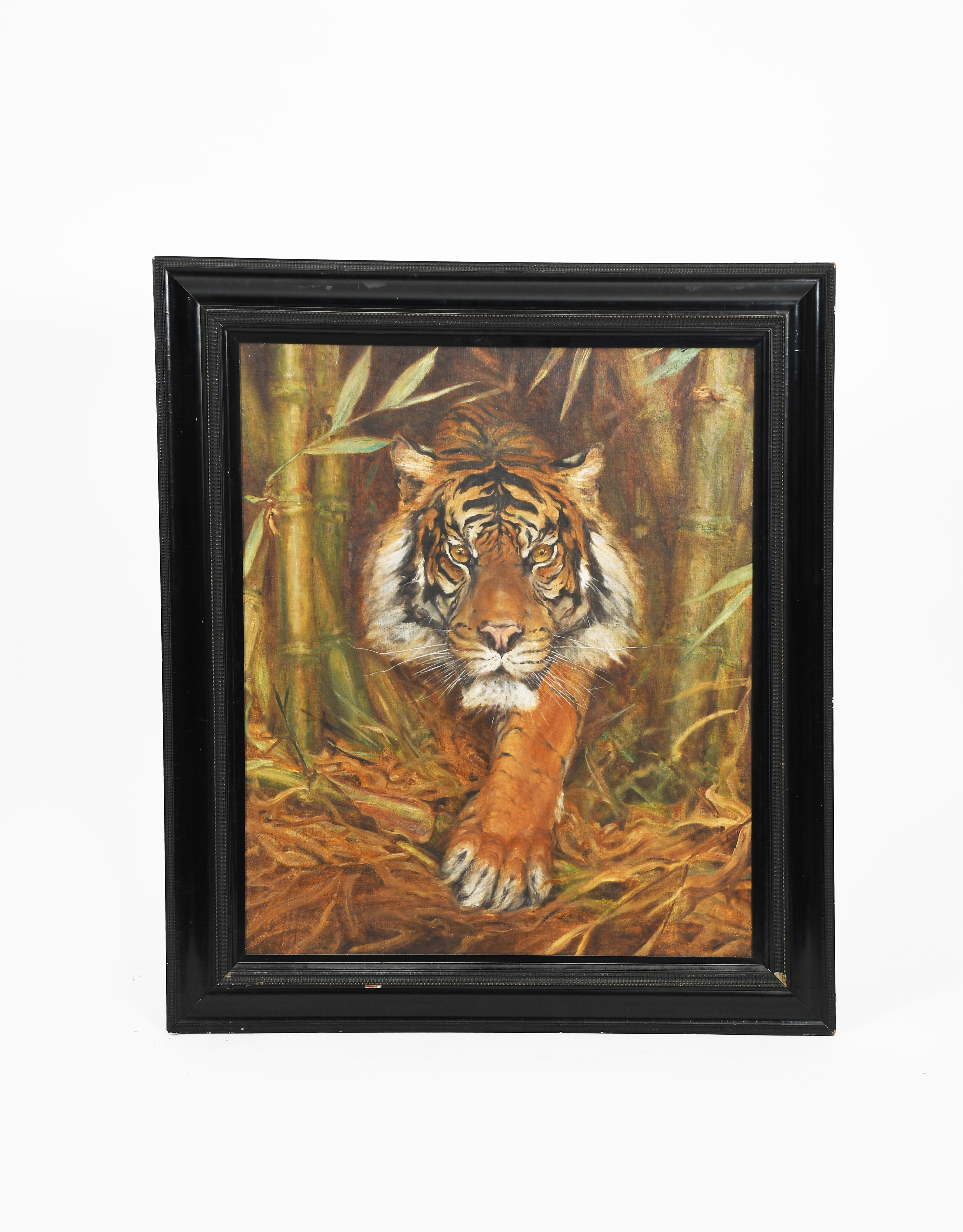 Charles E. Thomas | Sumatran Tiger | MutualArt