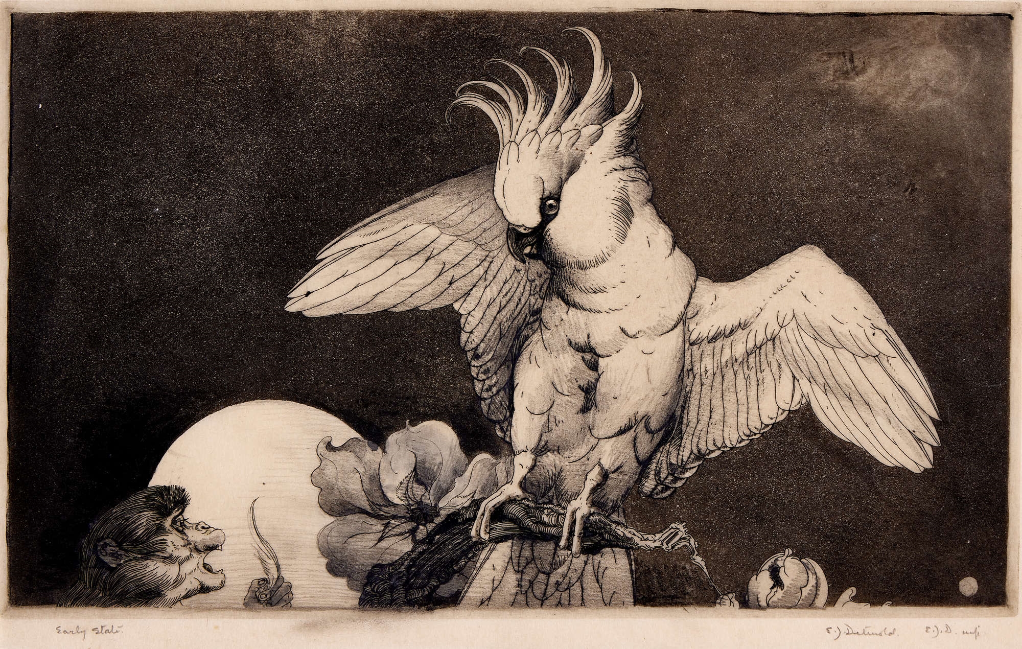 Edward Julius Detmold | Monkey stealing a feather from a cockatoo (Mid ...