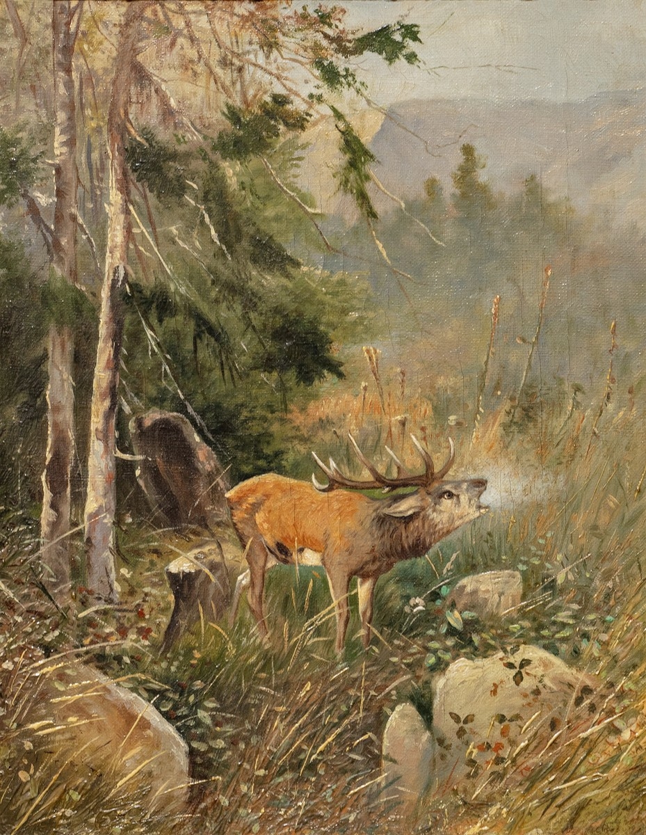 Vilem Trsek | Jelen | MutualArt