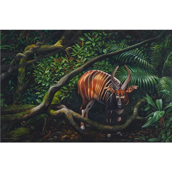 Peter Schouten | Bongo (1999) | MutualArt