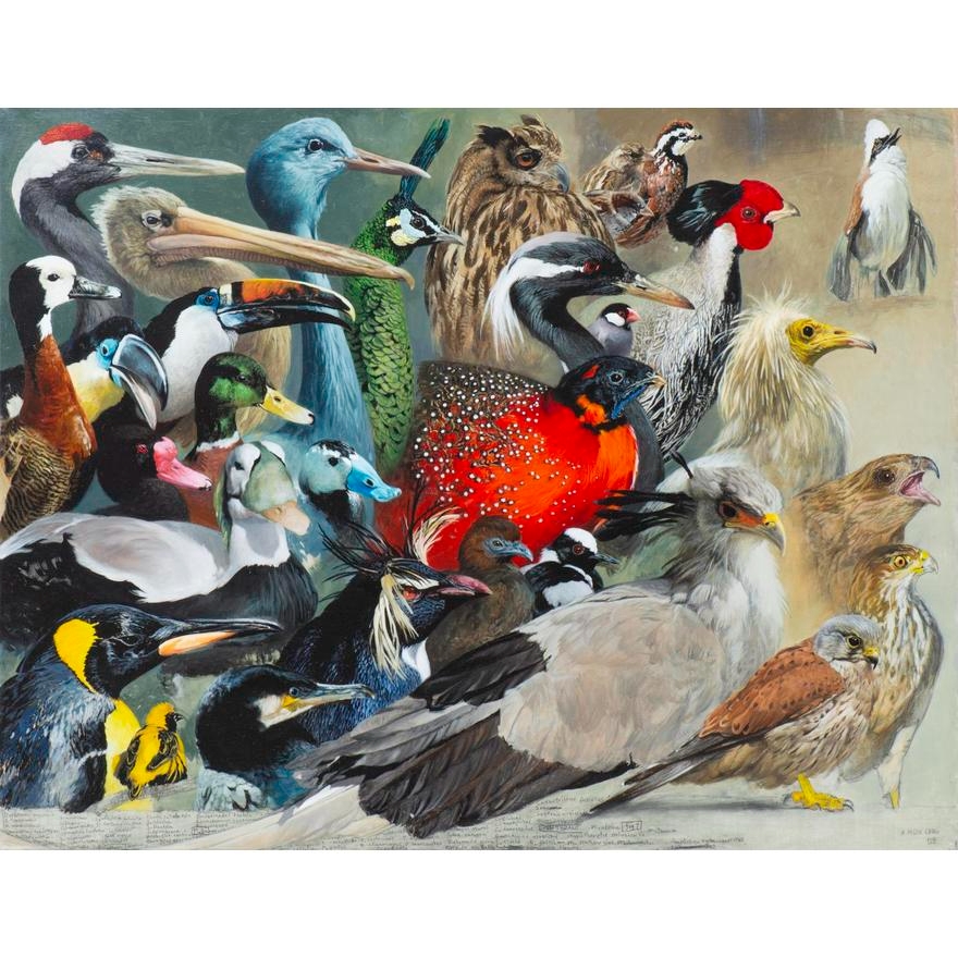 Raymond Harris Ching | Courtship Eiders | MutualArt