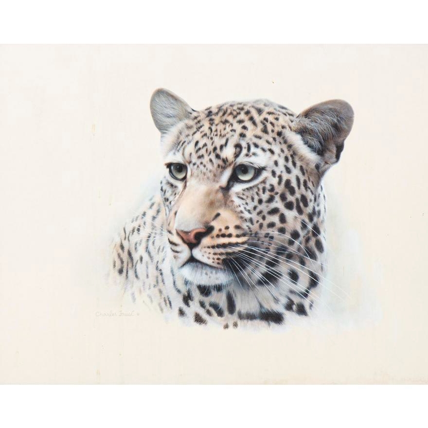 Charles Frace | Léopard, Head Study | MutualArt