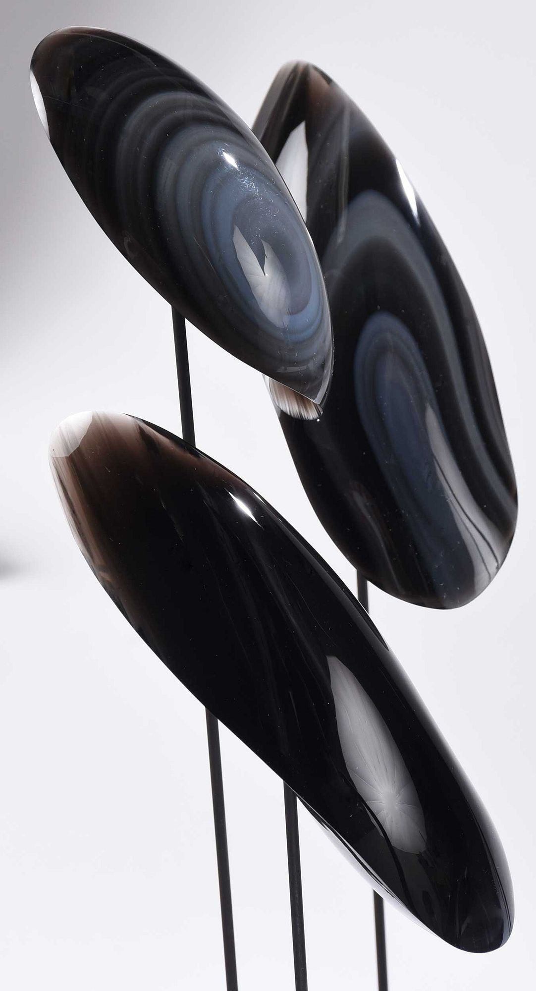 Roger Dane | Water Beetles | MutualArt