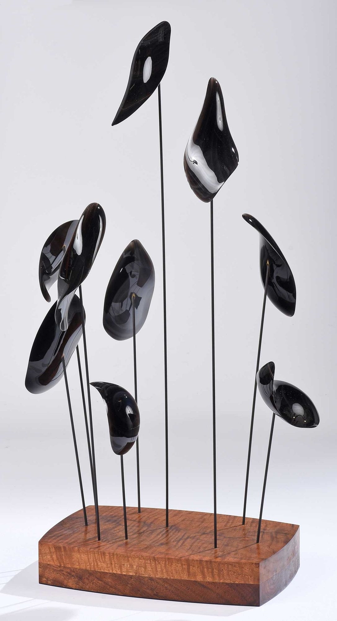 Roger Dane | Water Beetles | MutualArt