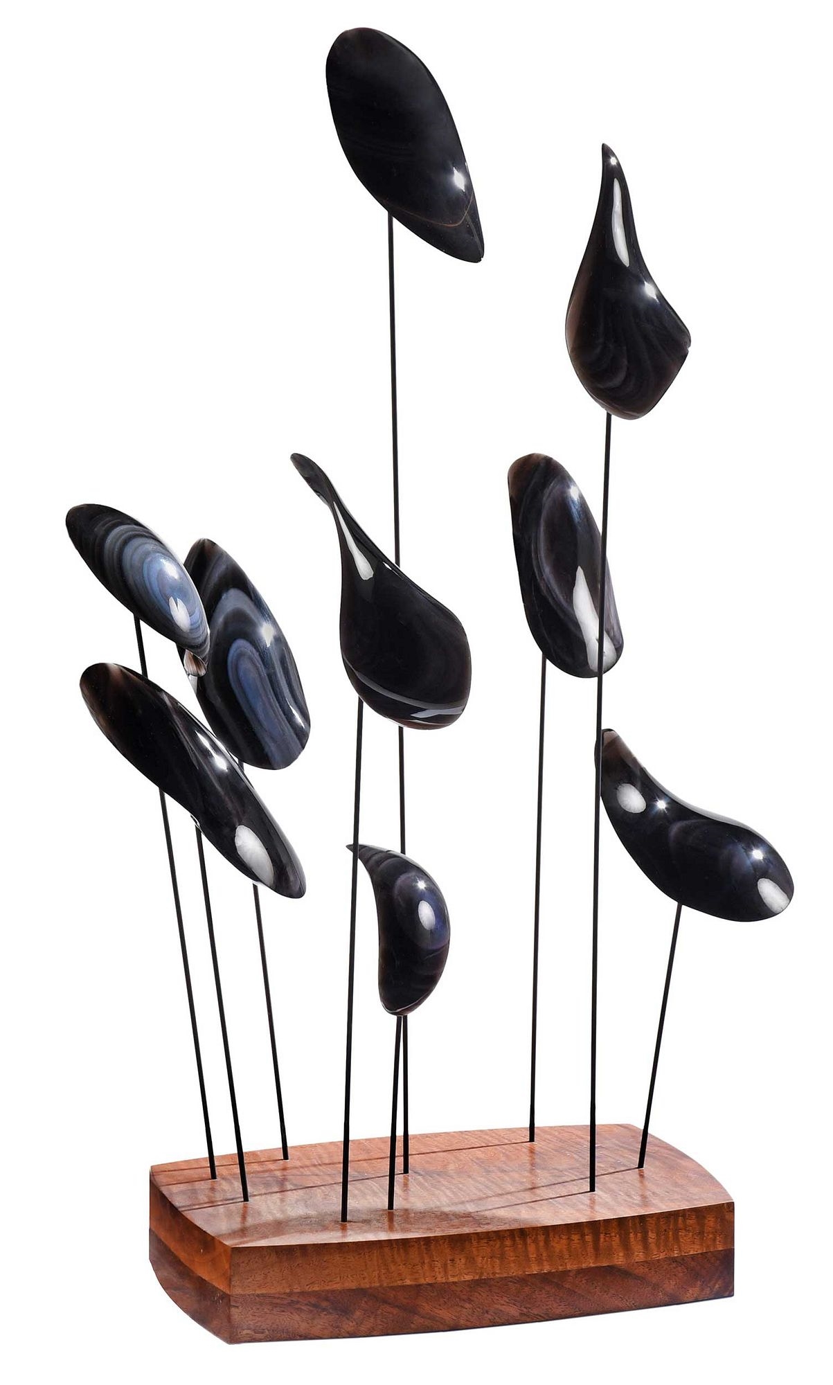 Roger Dane | Water Beetles | MutualArt