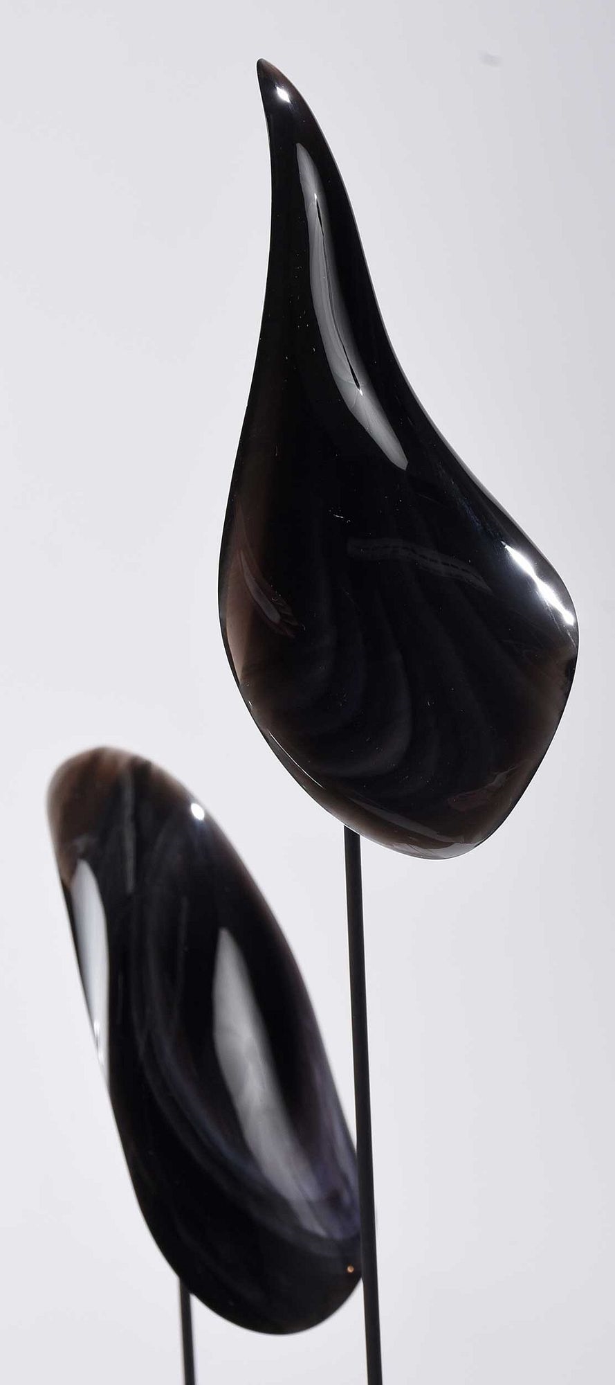 Roger Dane | Water Beetles | MutualArt