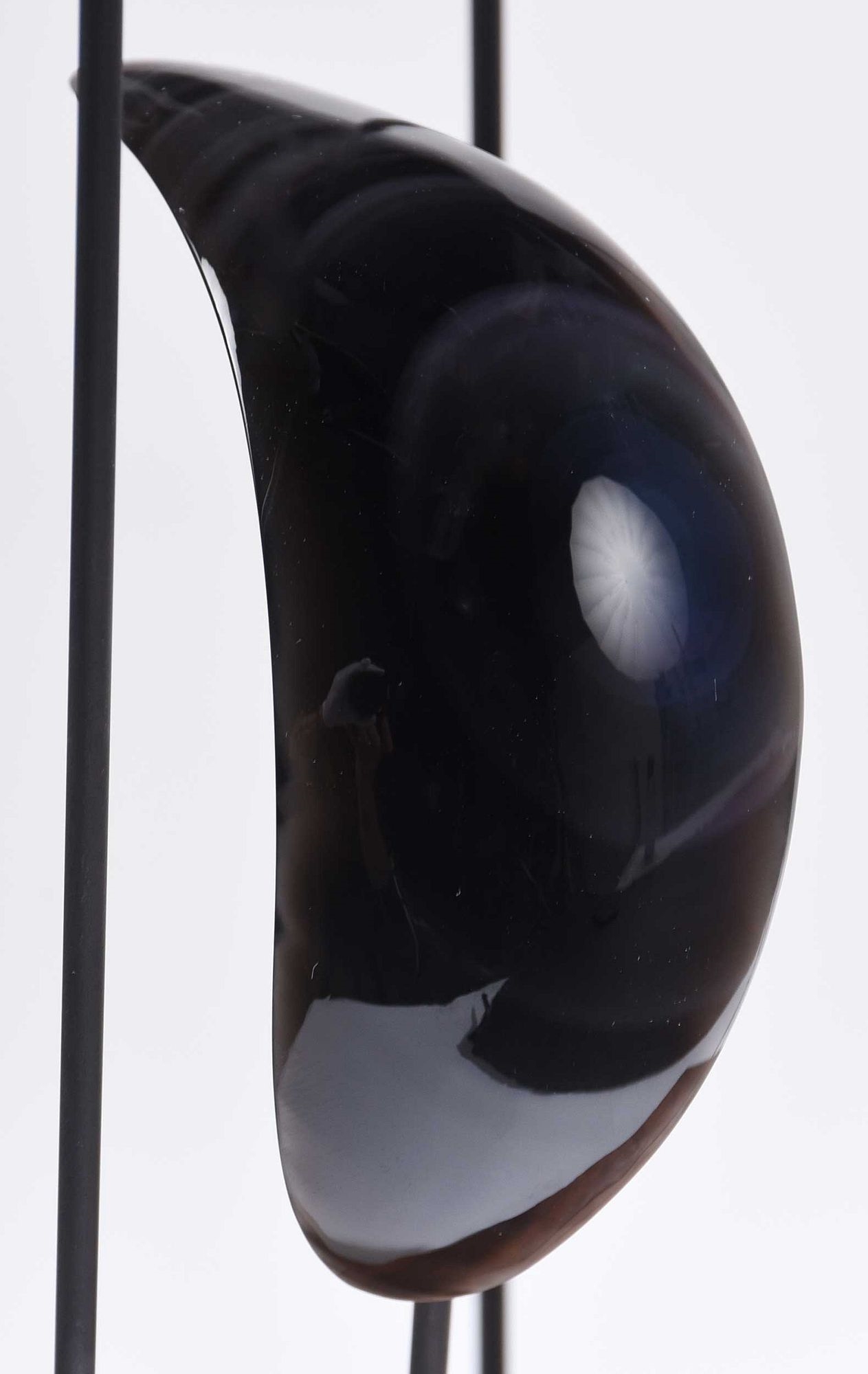 Roger Dane | Water Beetles | MutualArt