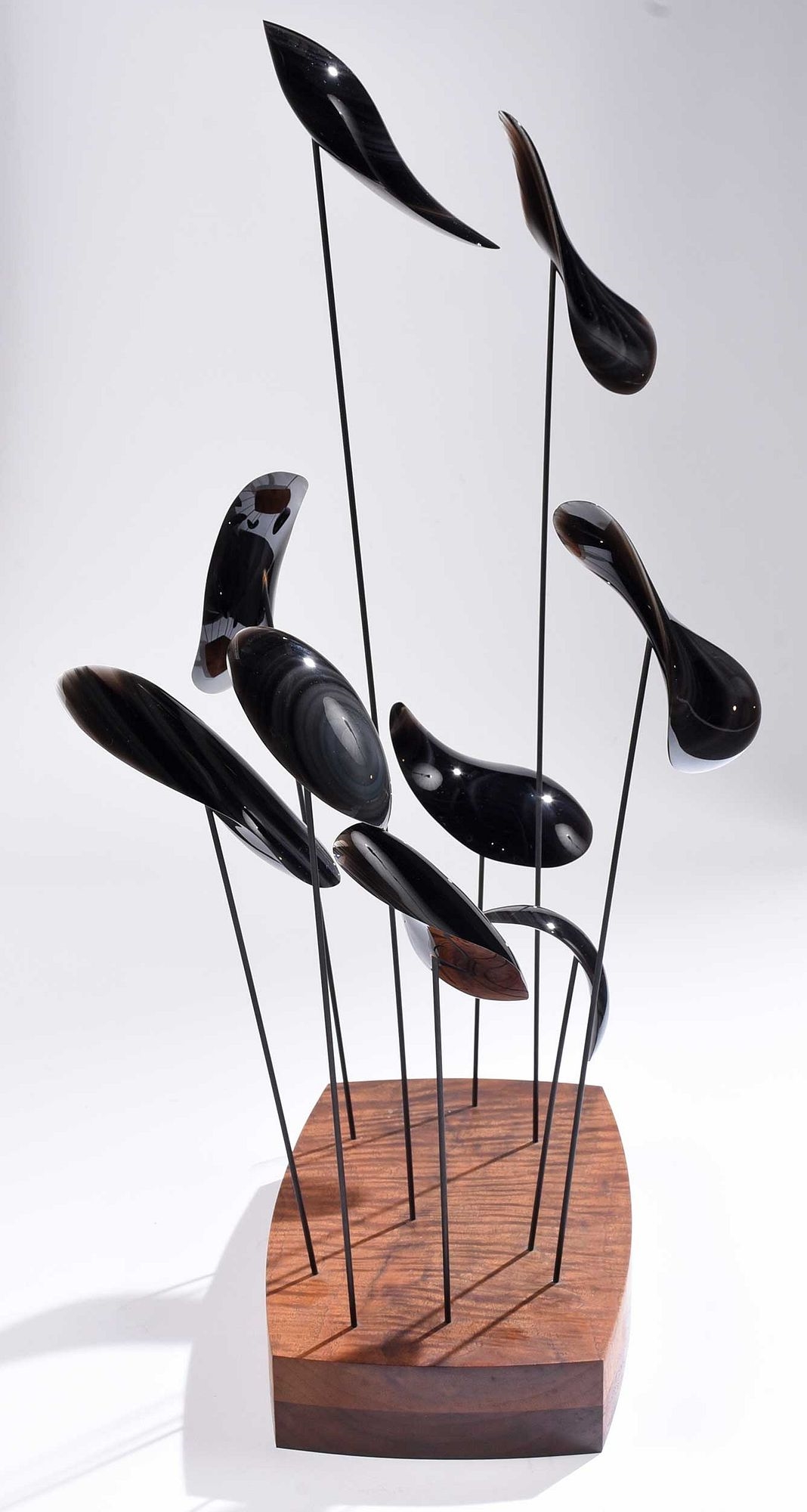 Roger Dane | Water Beetles | MutualArt