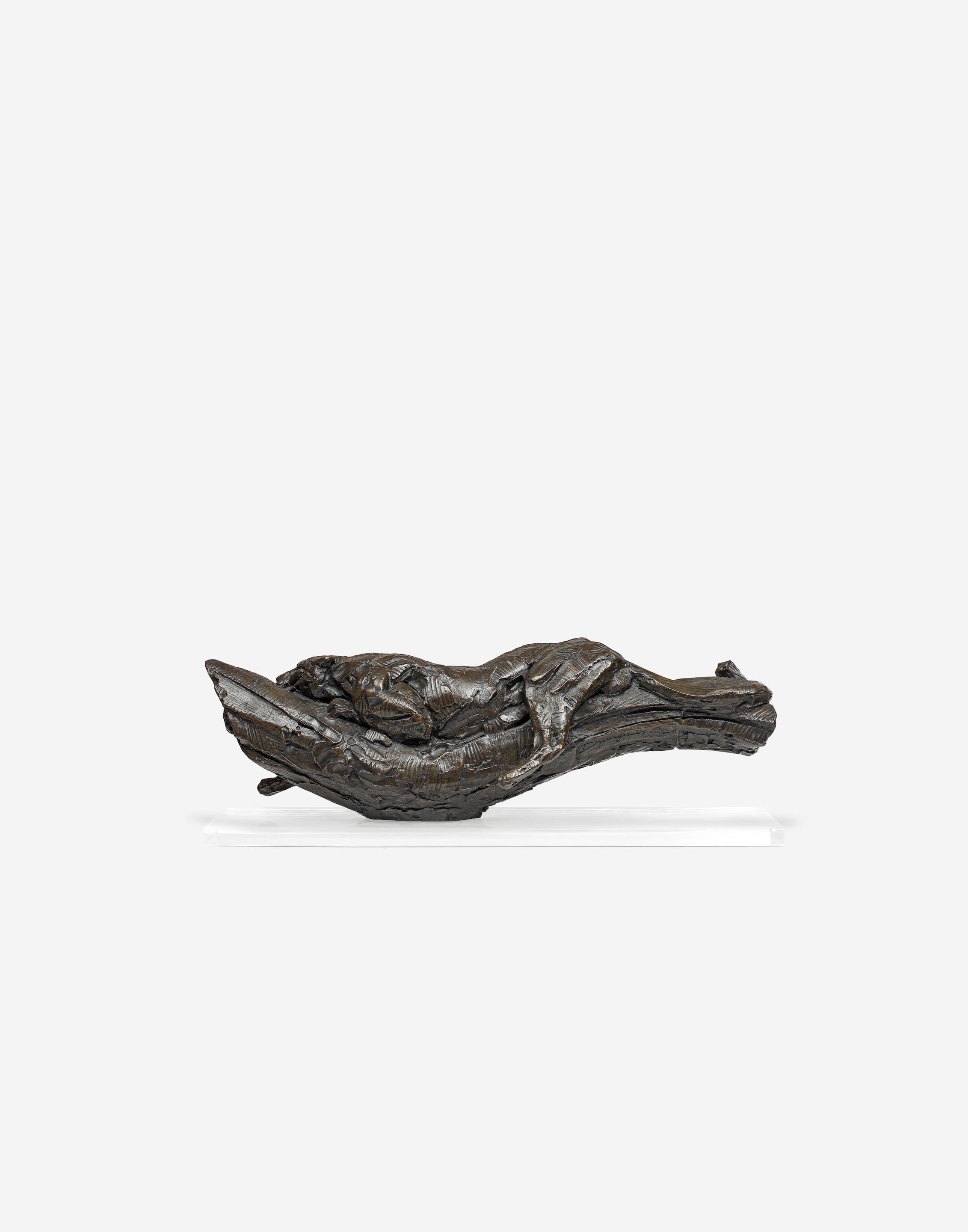 Dylan Lewis | Leopard, S186 | MutualArt