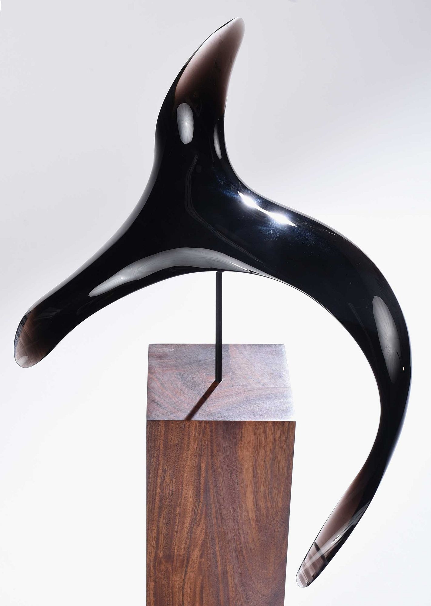 Roger Dane | Hammerhead | MutualArt