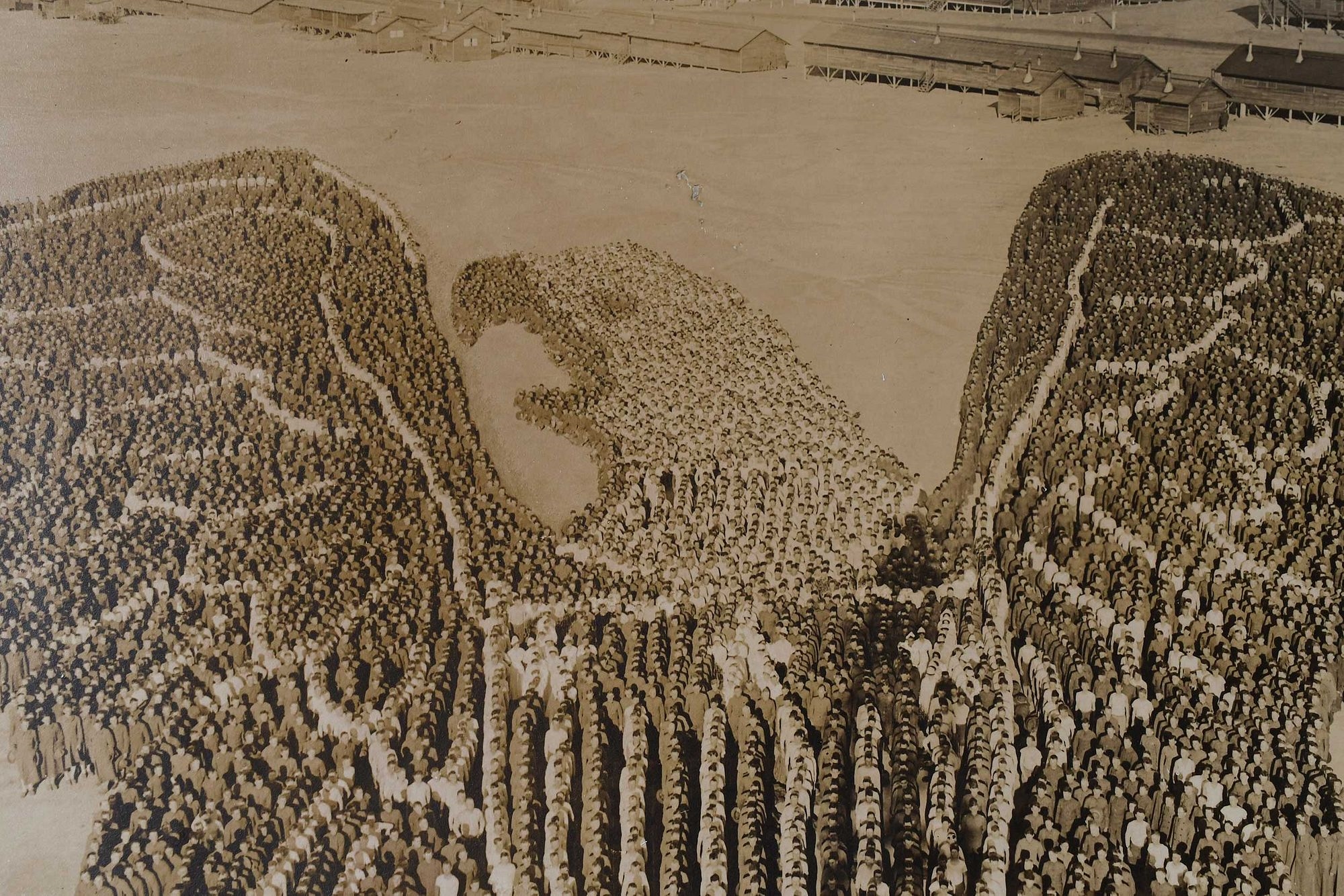 Mole & Thomas | The Human American Eagle (1918) | MutualArt