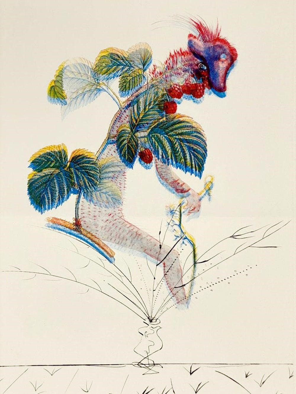 Salvador Dalí | Flordali - Framboisier (1969) | MutualArt