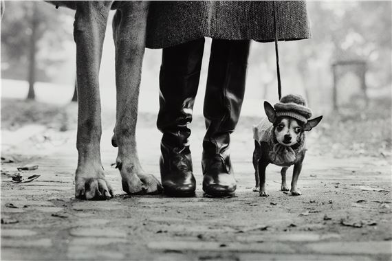 Elliott Erwitt | Dog Legs, New York City | MutualArt