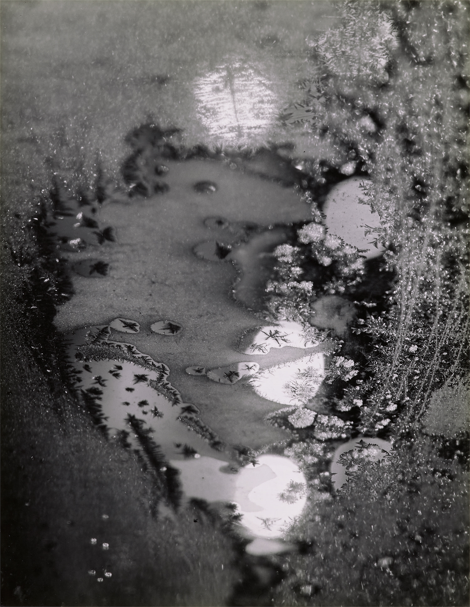 Minor White | Beginnings | MutualArt