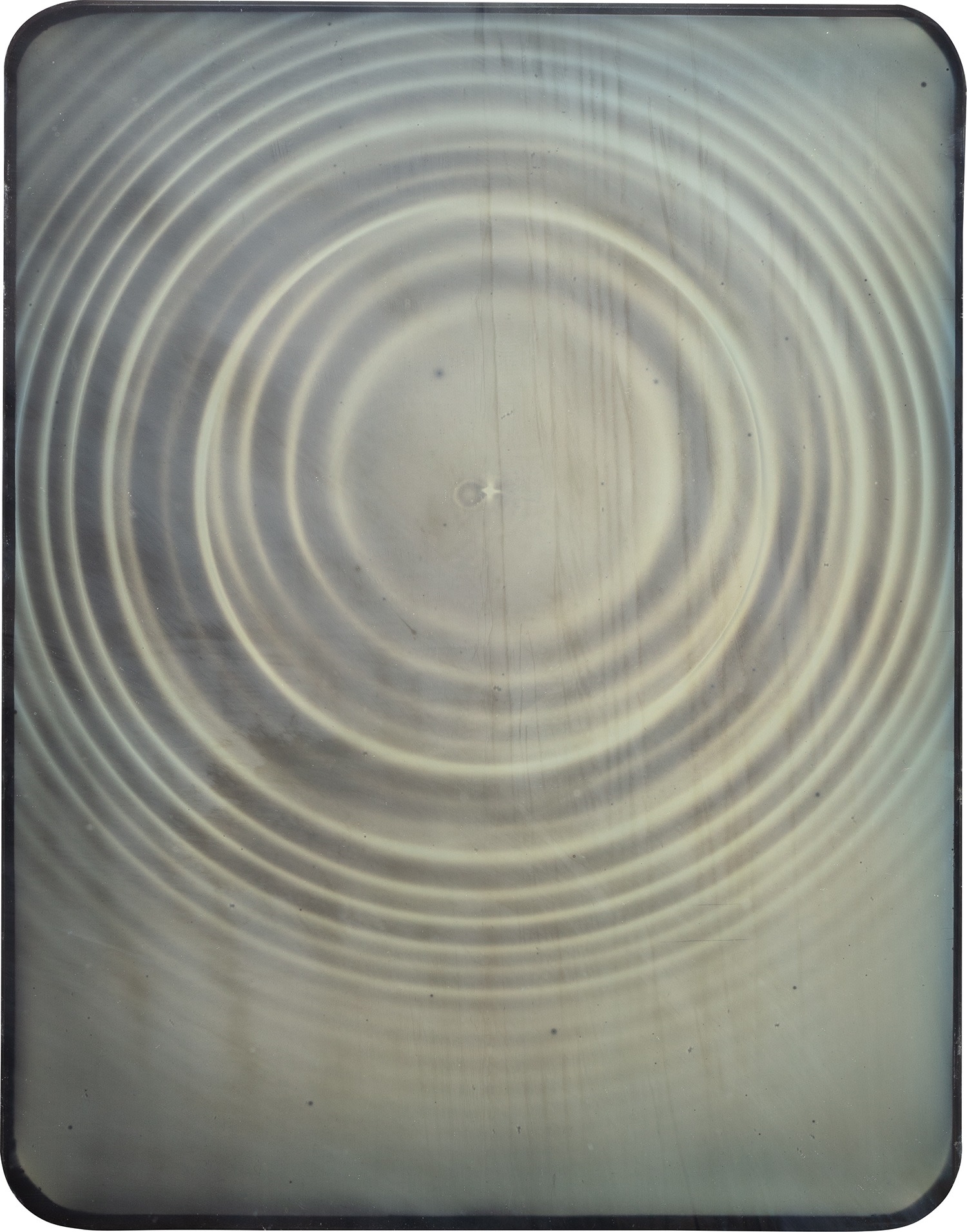 Adam Fuss | ARK (2005) | MutualArt