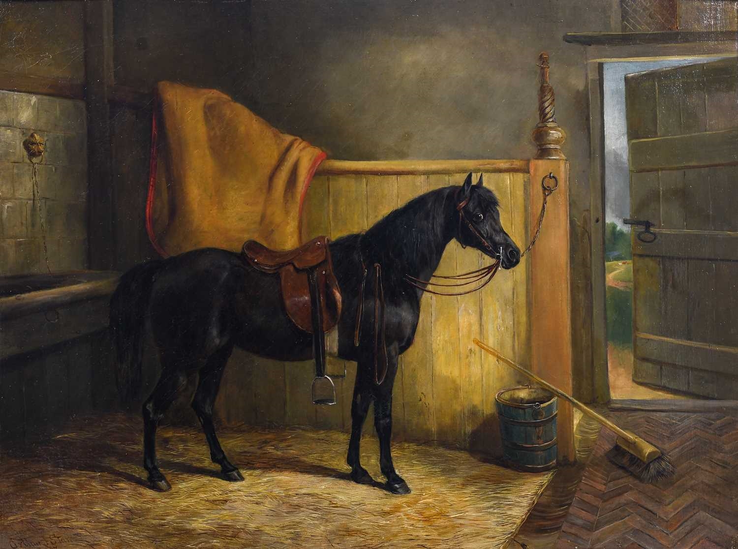 Arthur James Stark | Portrait of a black horse standing in a stall ...