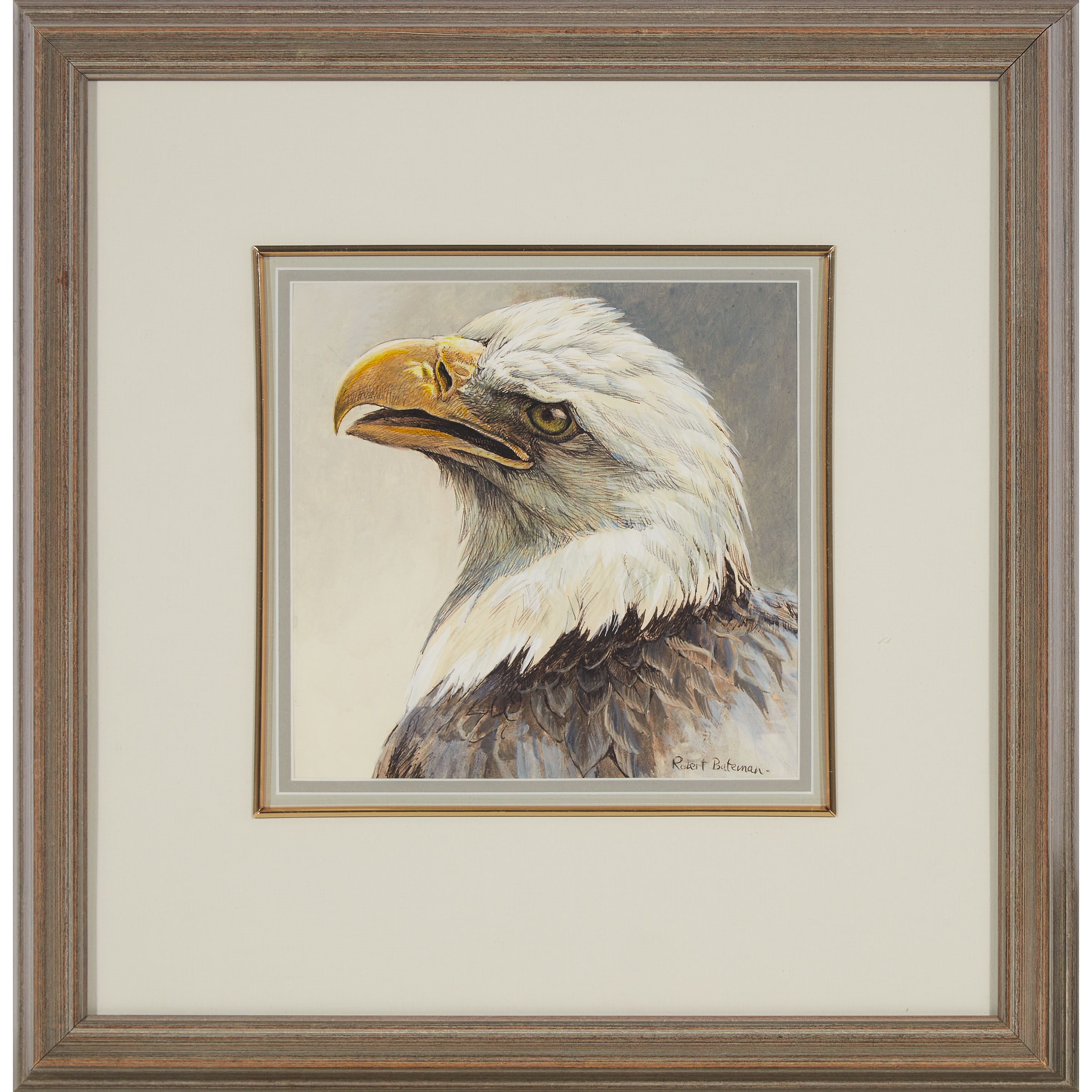 Robert McLellan Bateman | HEAD OF A BALD EAGLE | MutualArt