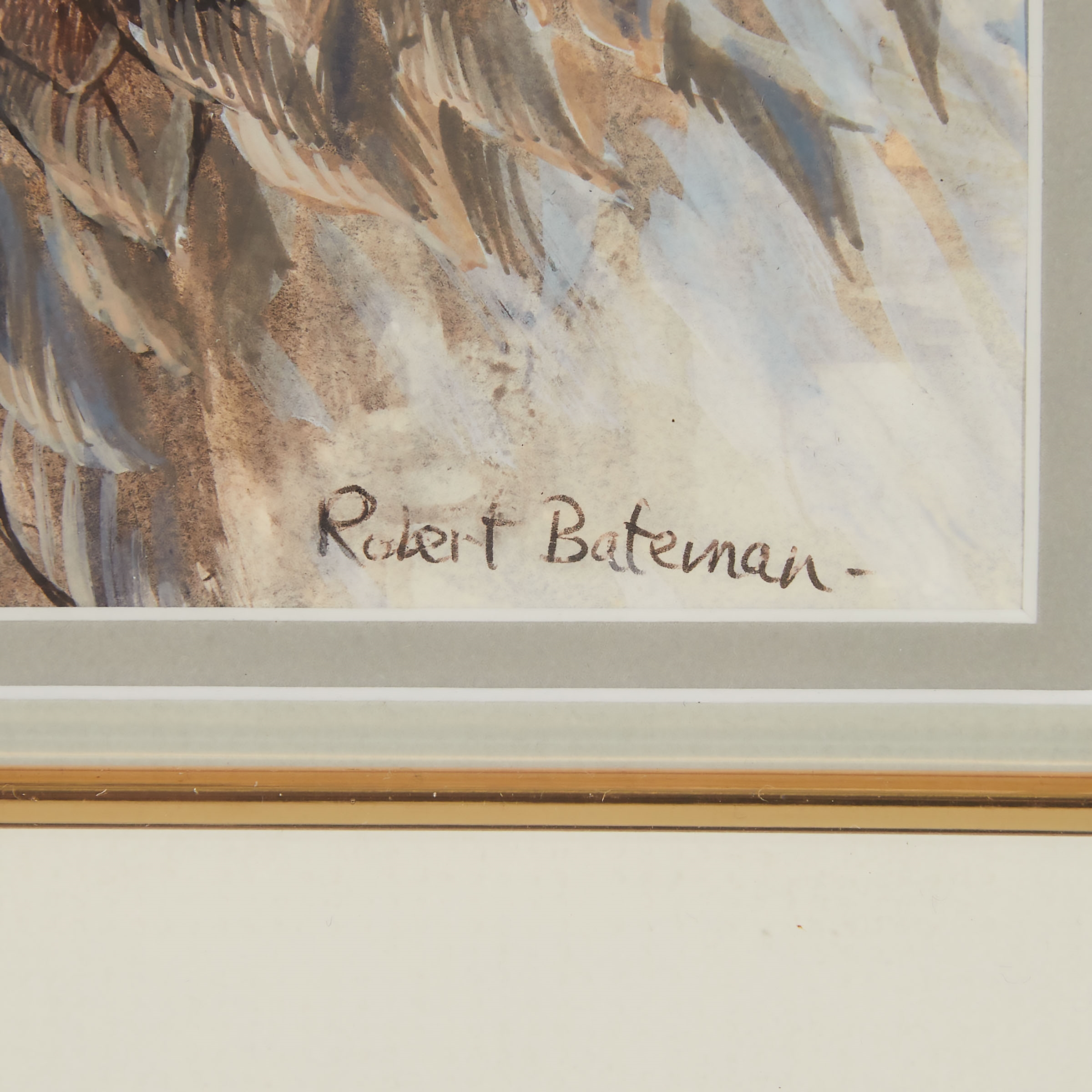 Robert McLellan Bateman | HEAD OF A BALD EAGLE | MutualArt