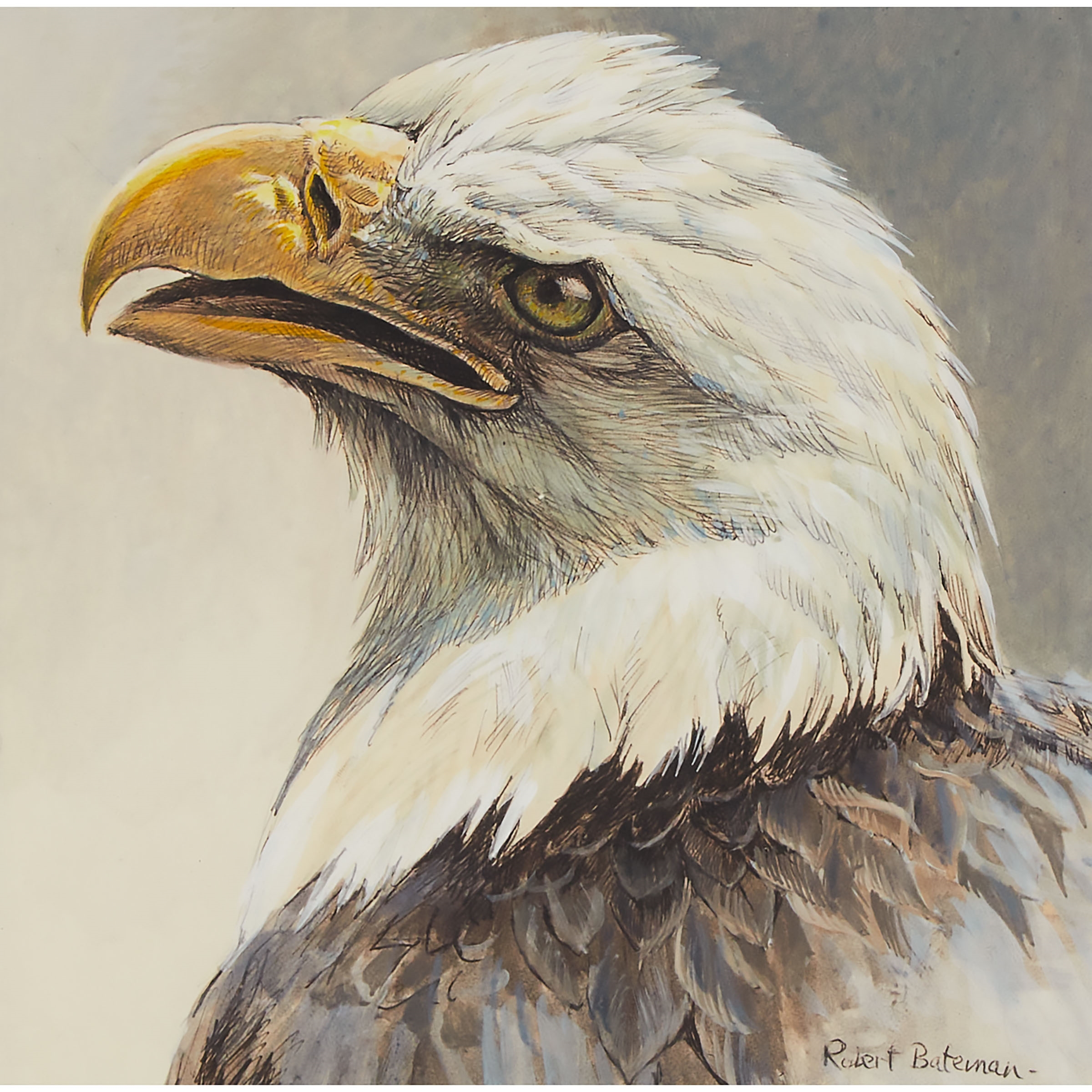 Robert McLellan Bateman | HEAD OF A BALD EAGLE | MutualArt