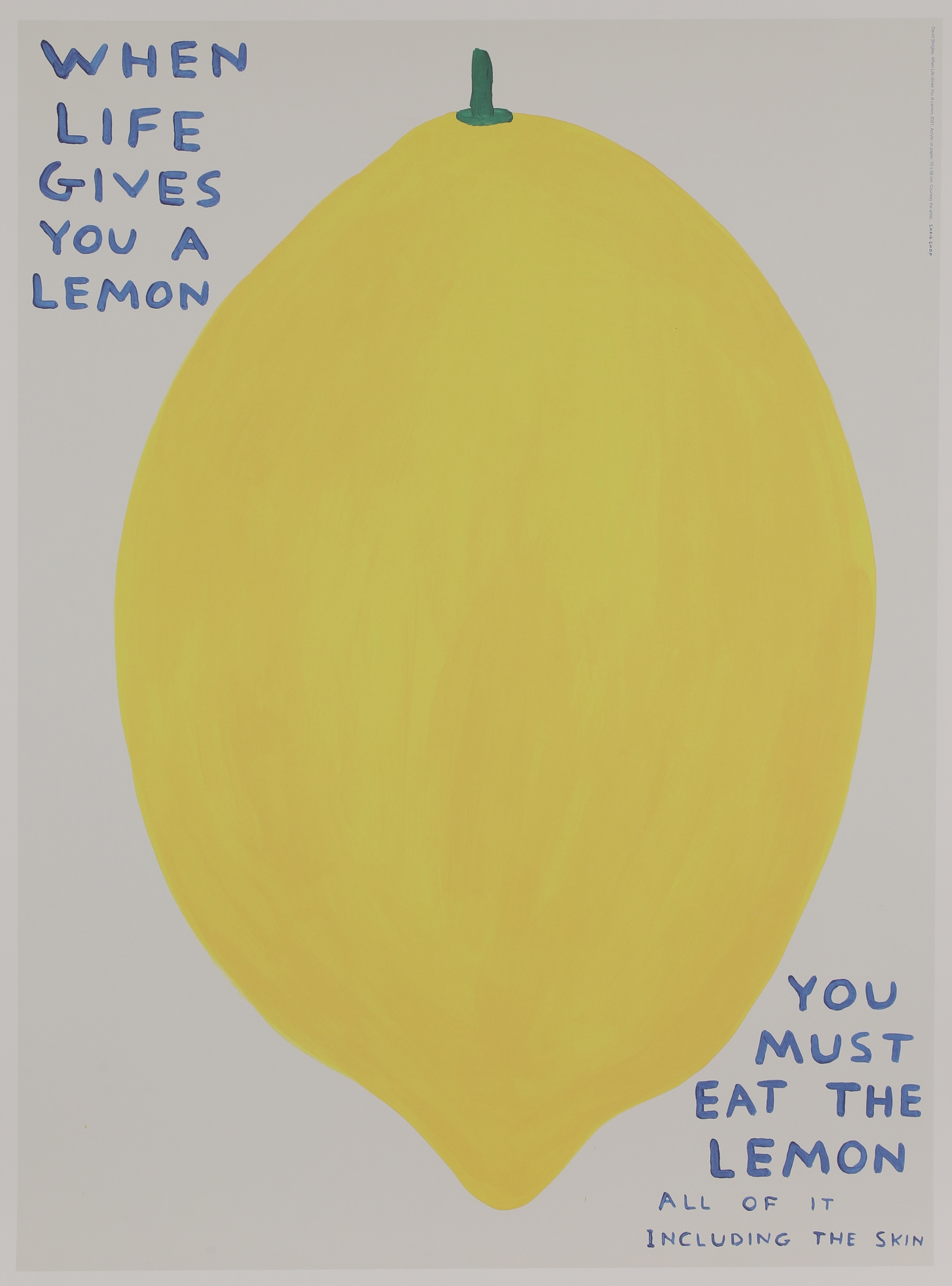 David Shrigley | When Life Gives You A Lemon You Must Eat the Lemon ...