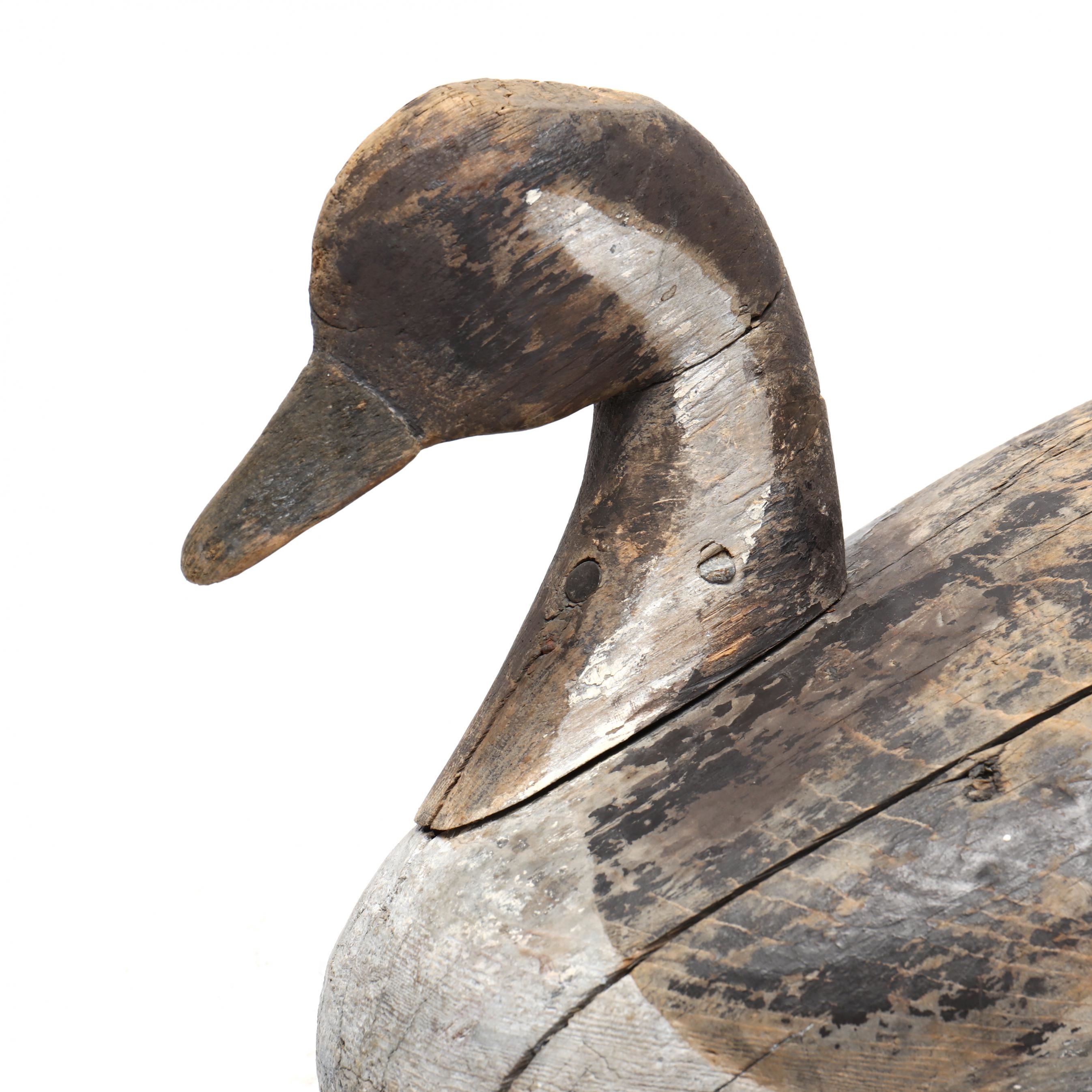 John Fulcher | Published Pintail (Circa 1910s) | MutualArt