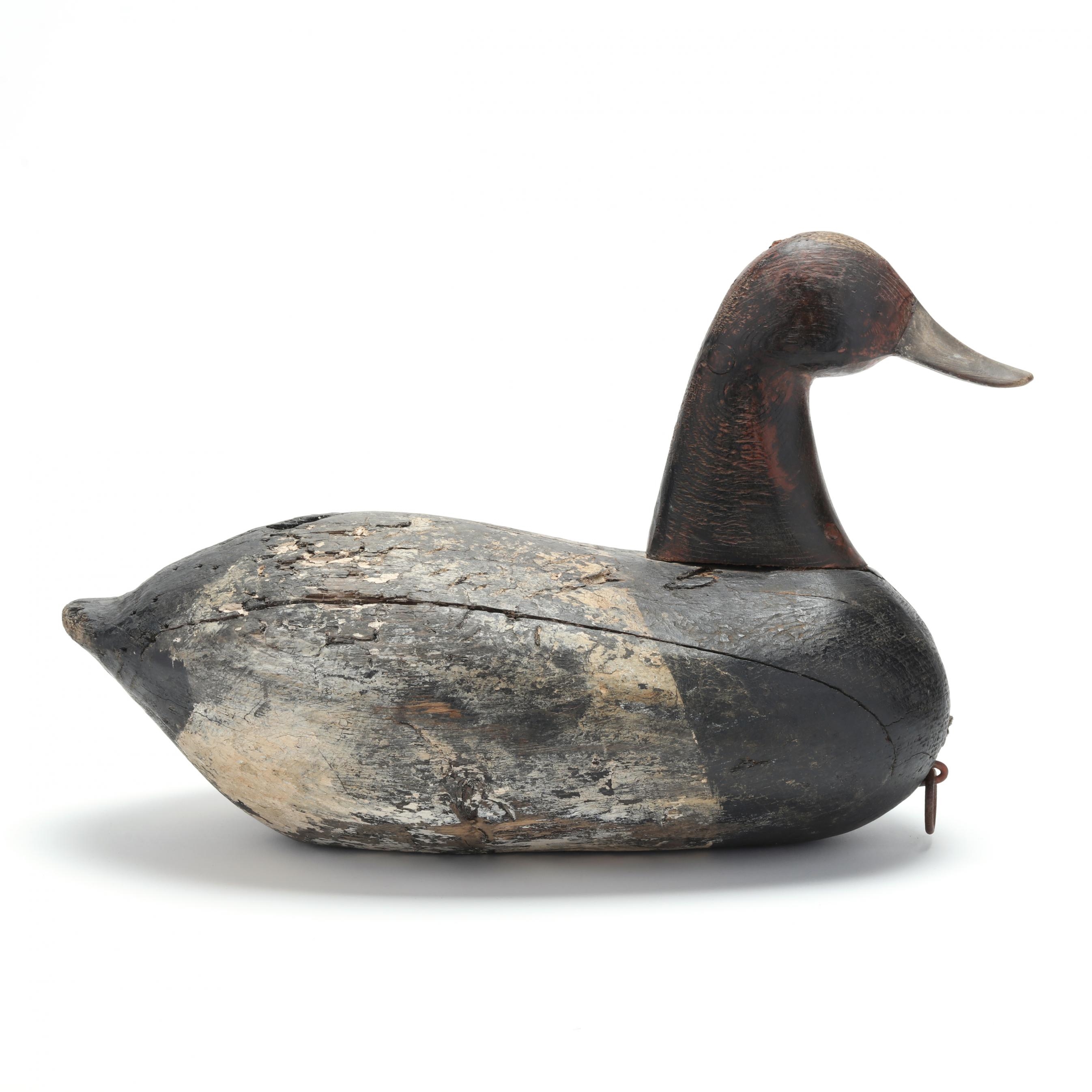 Alvery Wright | Canvasback with Contemporary Head (Circa 1910) | MutualArt