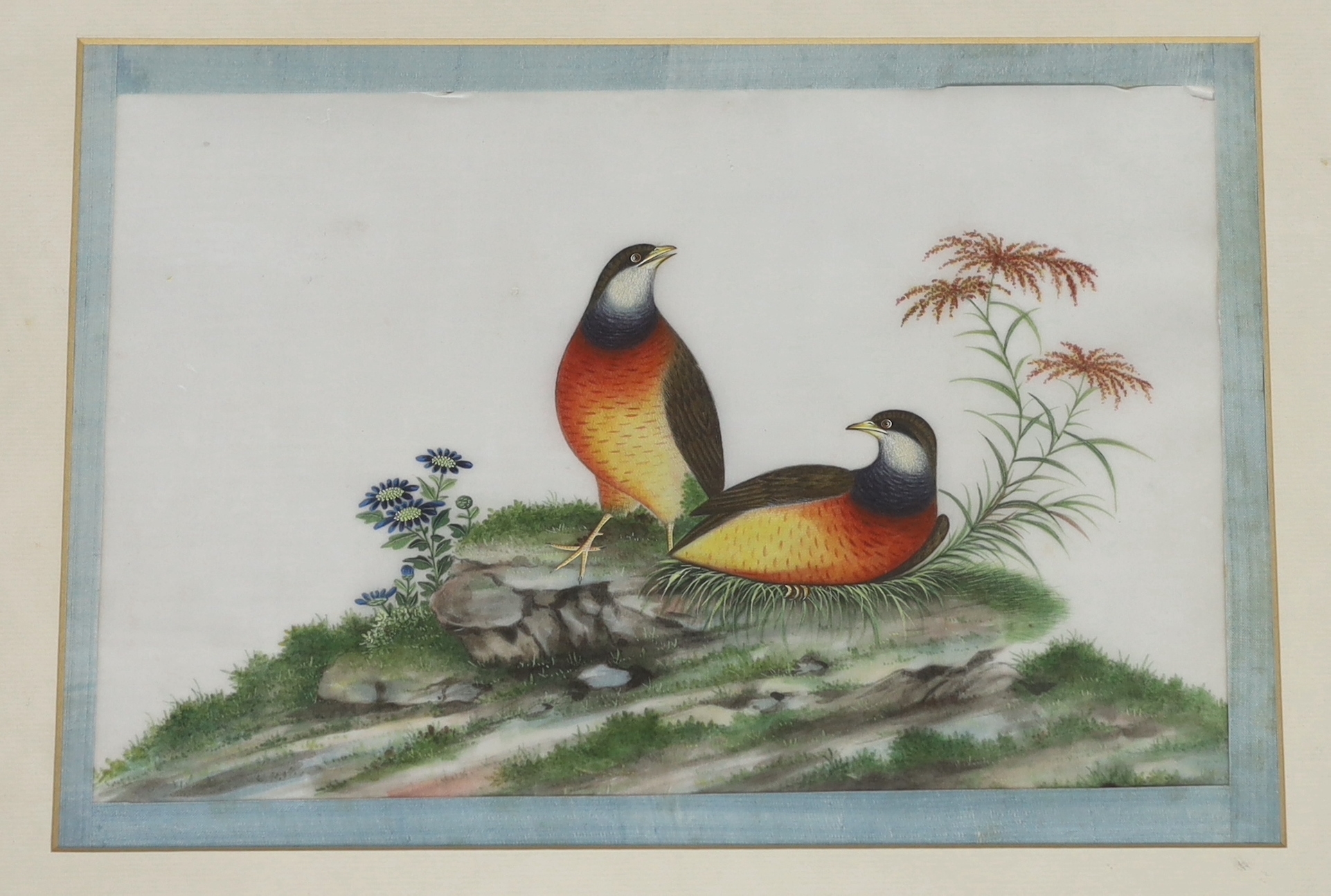 Chinese School | A set of thirteen Chinese pith paintings | MutualArt