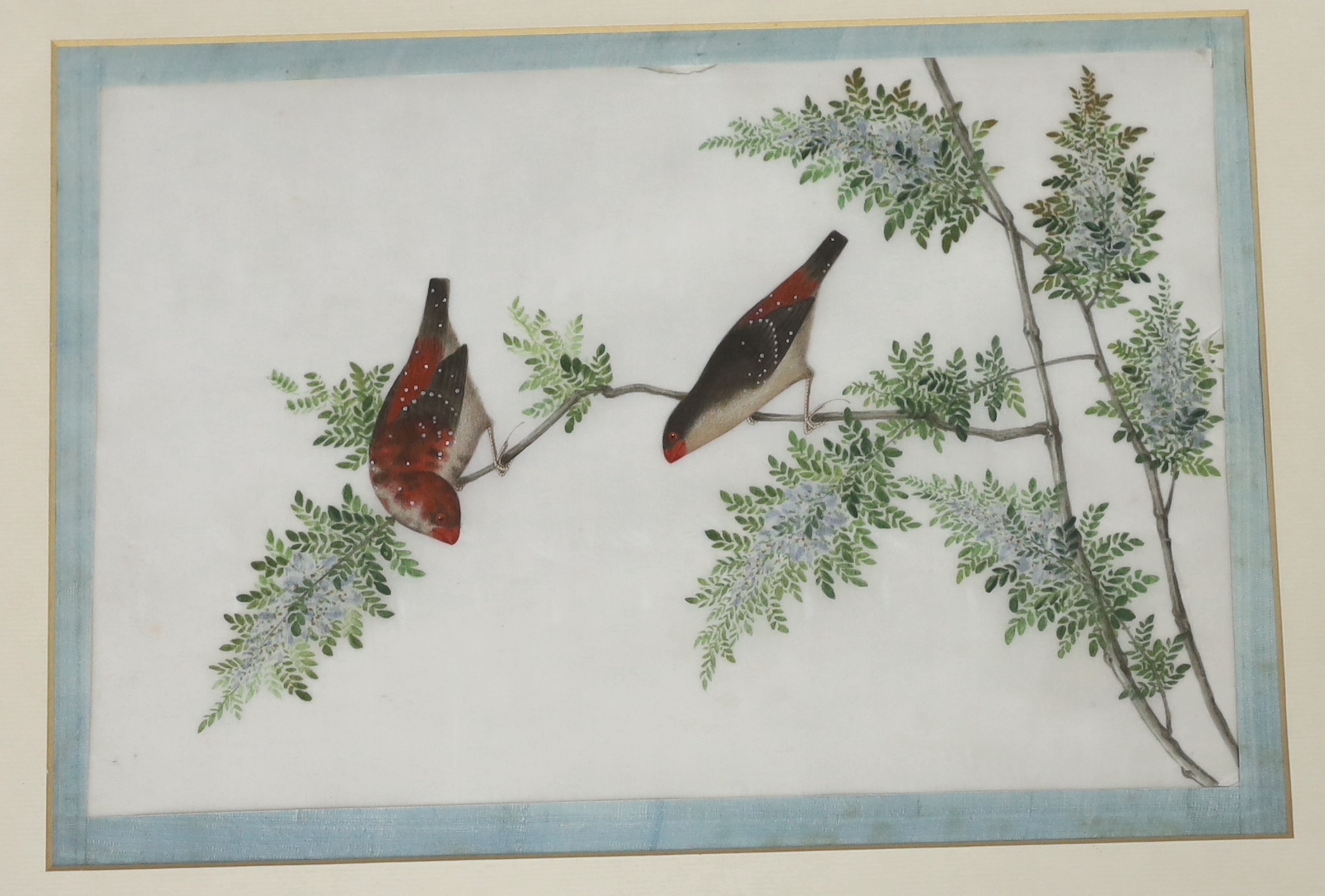 Chinese School | A set of thirteen Chinese pith paintings | MutualArt