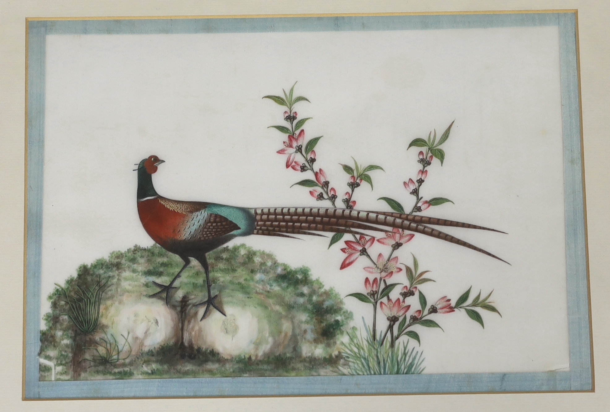 Chinese School | A set of thirteen Chinese pith paintings | MutualArt