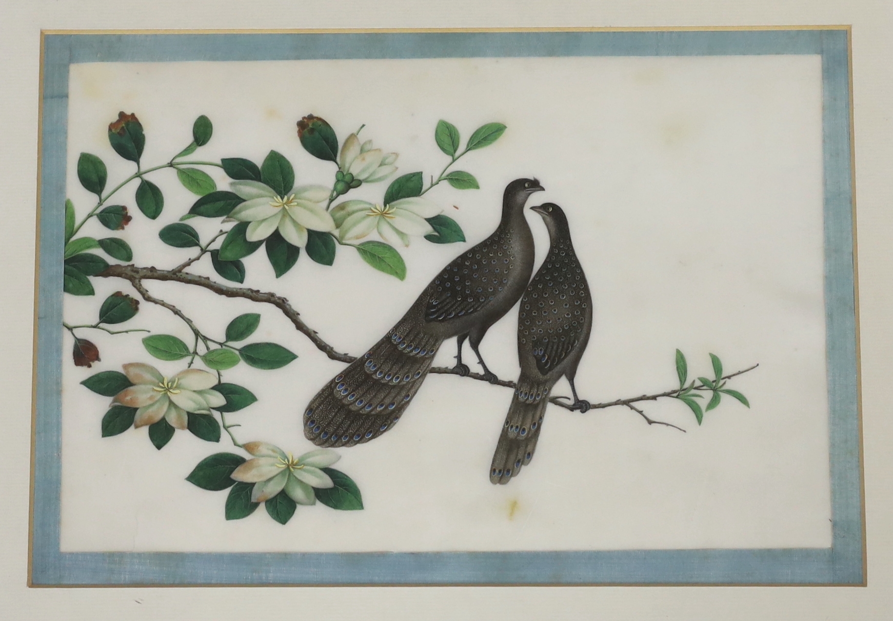 Chinese School | A set of thirteen Chinese pith paintings | MutualArt