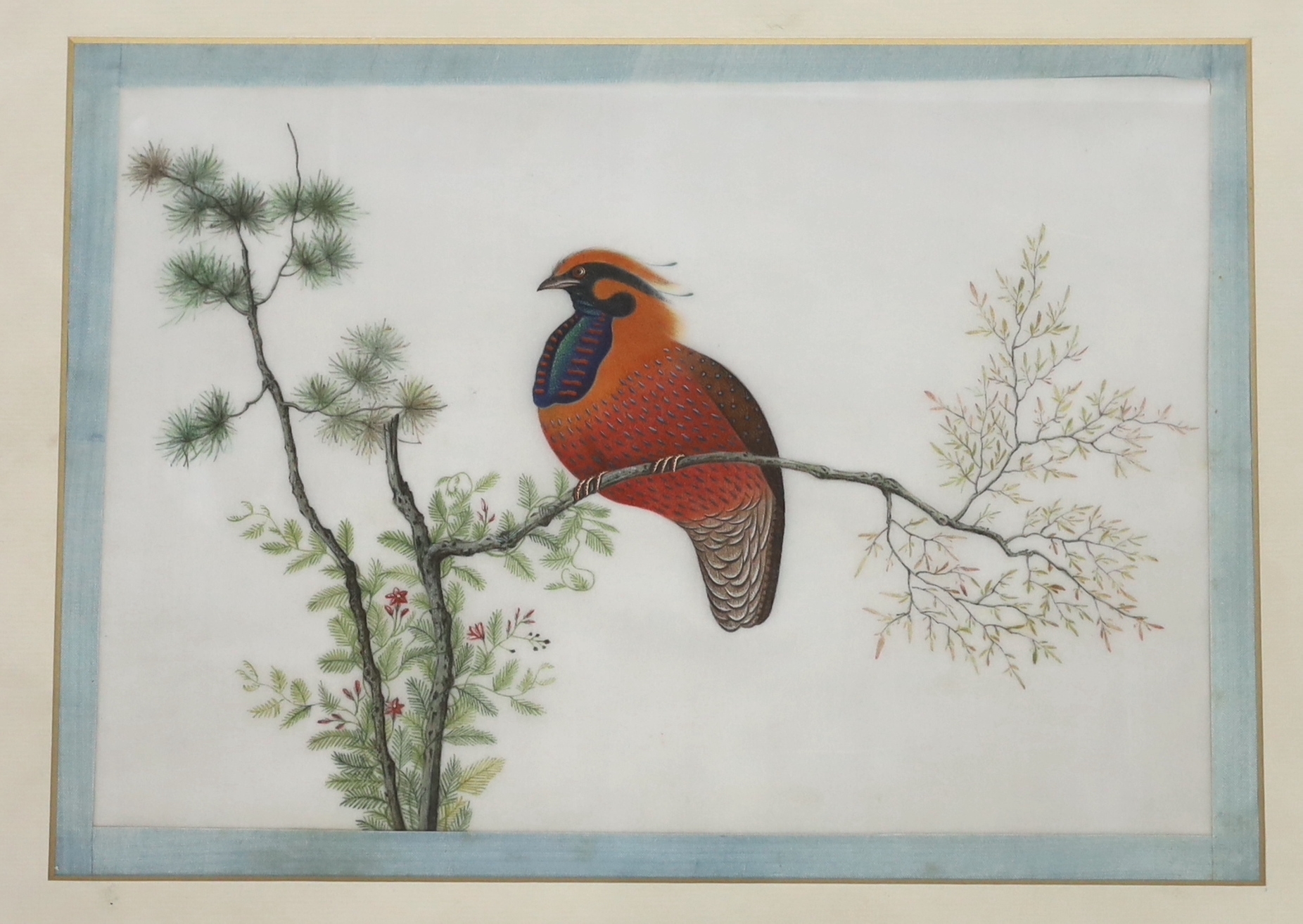 Chinese School | A set of thirteen Chinese pith paintings | MutualArt