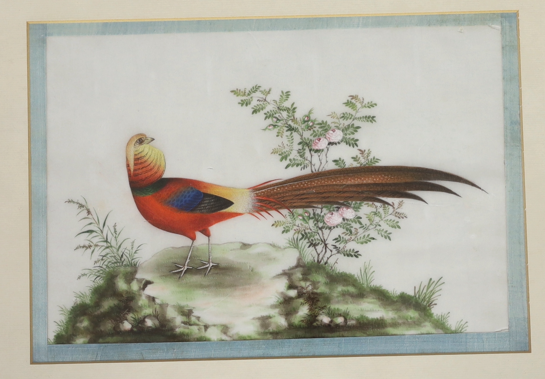 Chinese School | A set of thirteen Chinese pith paintings | MutualArt