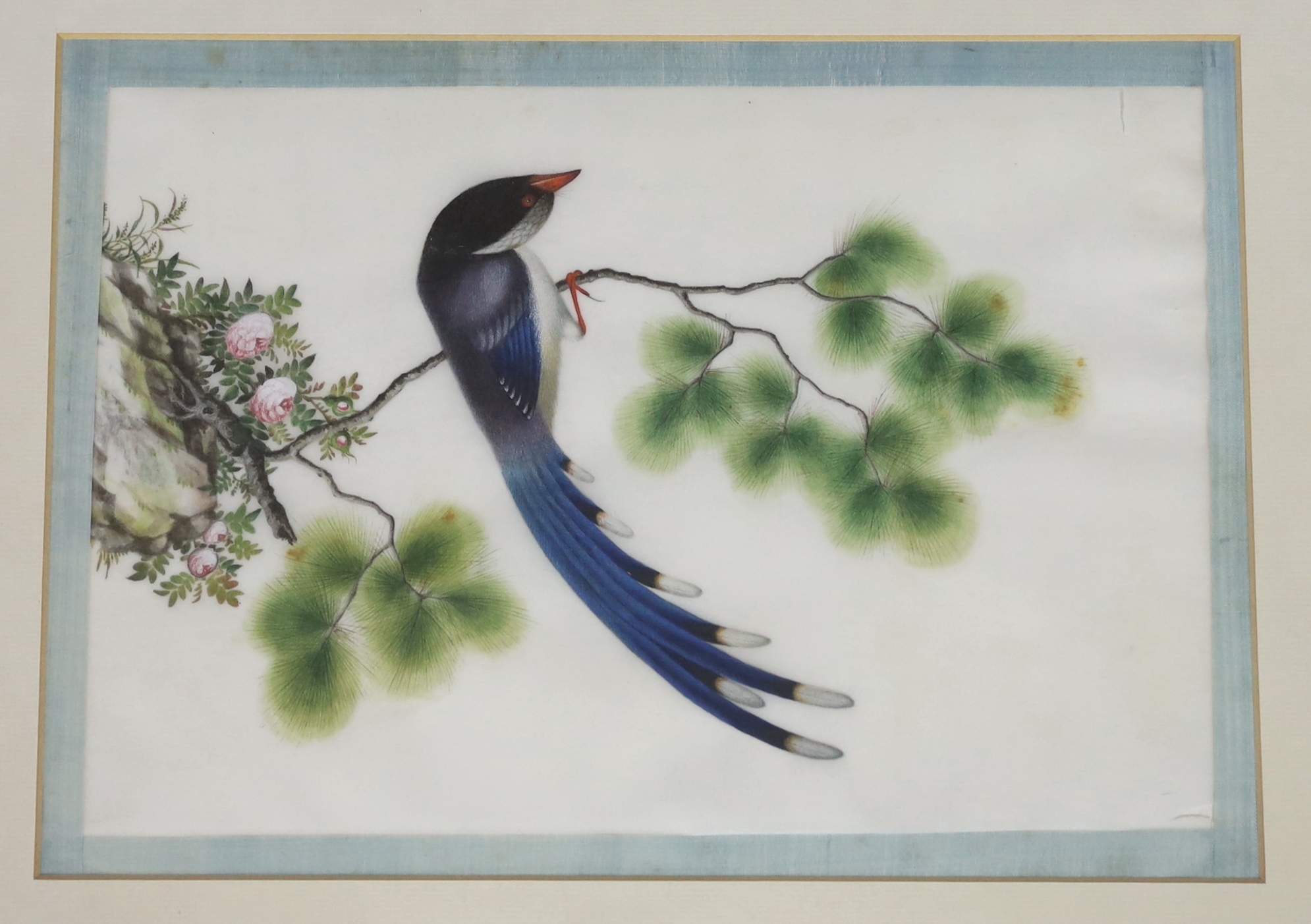 Chinese School | A set of thirteen Chinese pith paintings | MutualArt