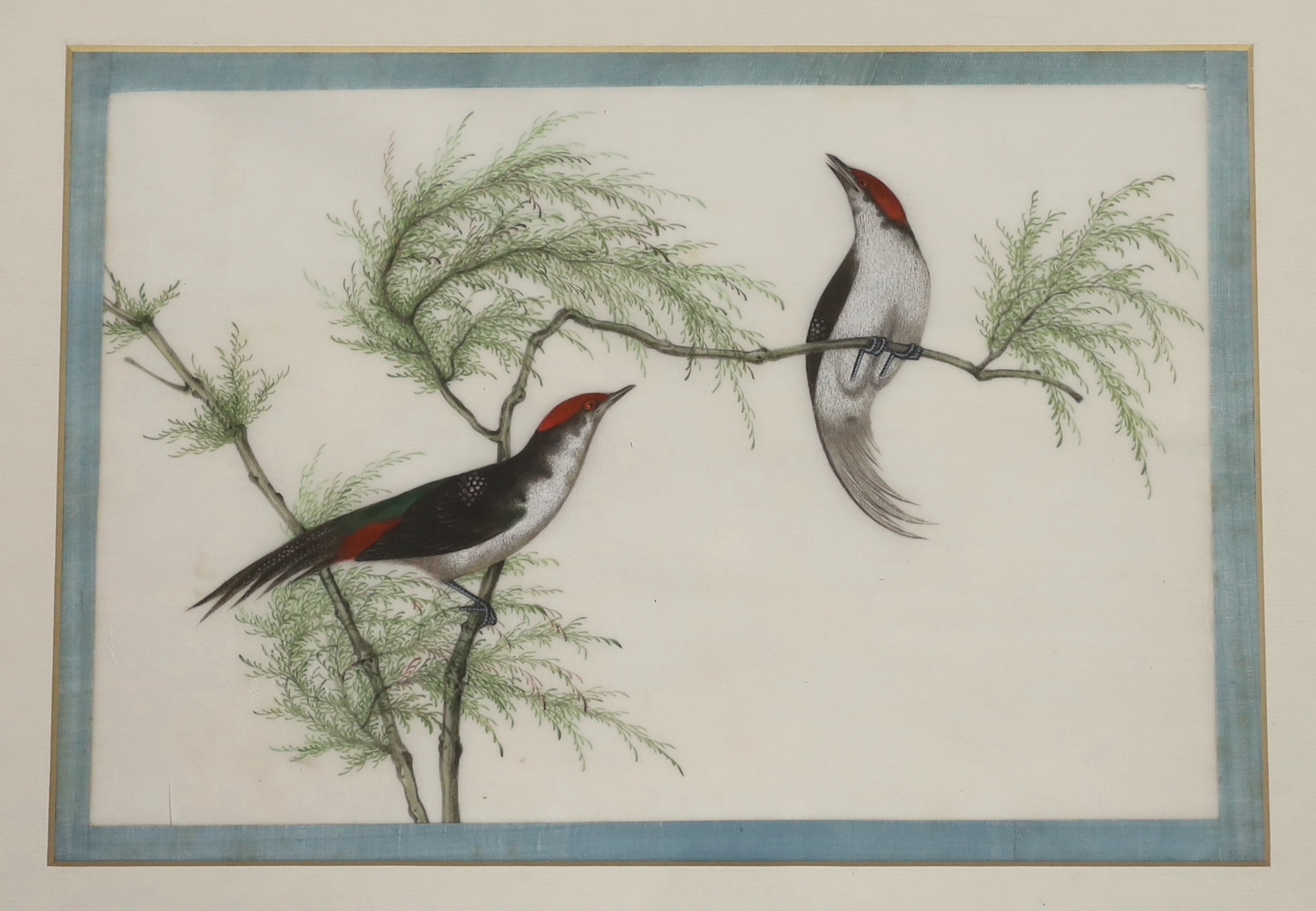 Chinese School | A set of thirteen Chinese pith paintings | MutualArt