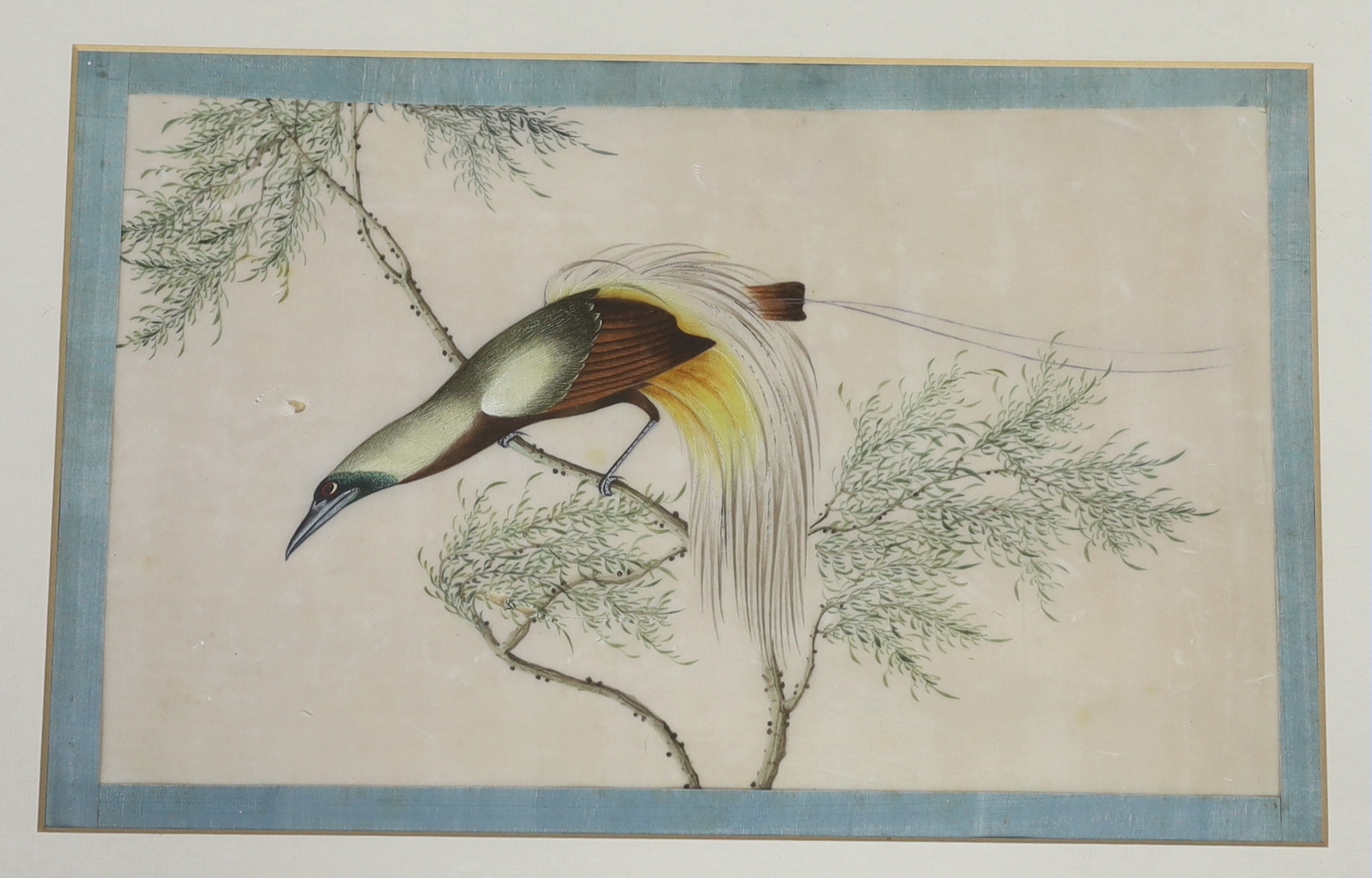 Chinese School | A set of thirteen Chinese pith paintings | MutualArt