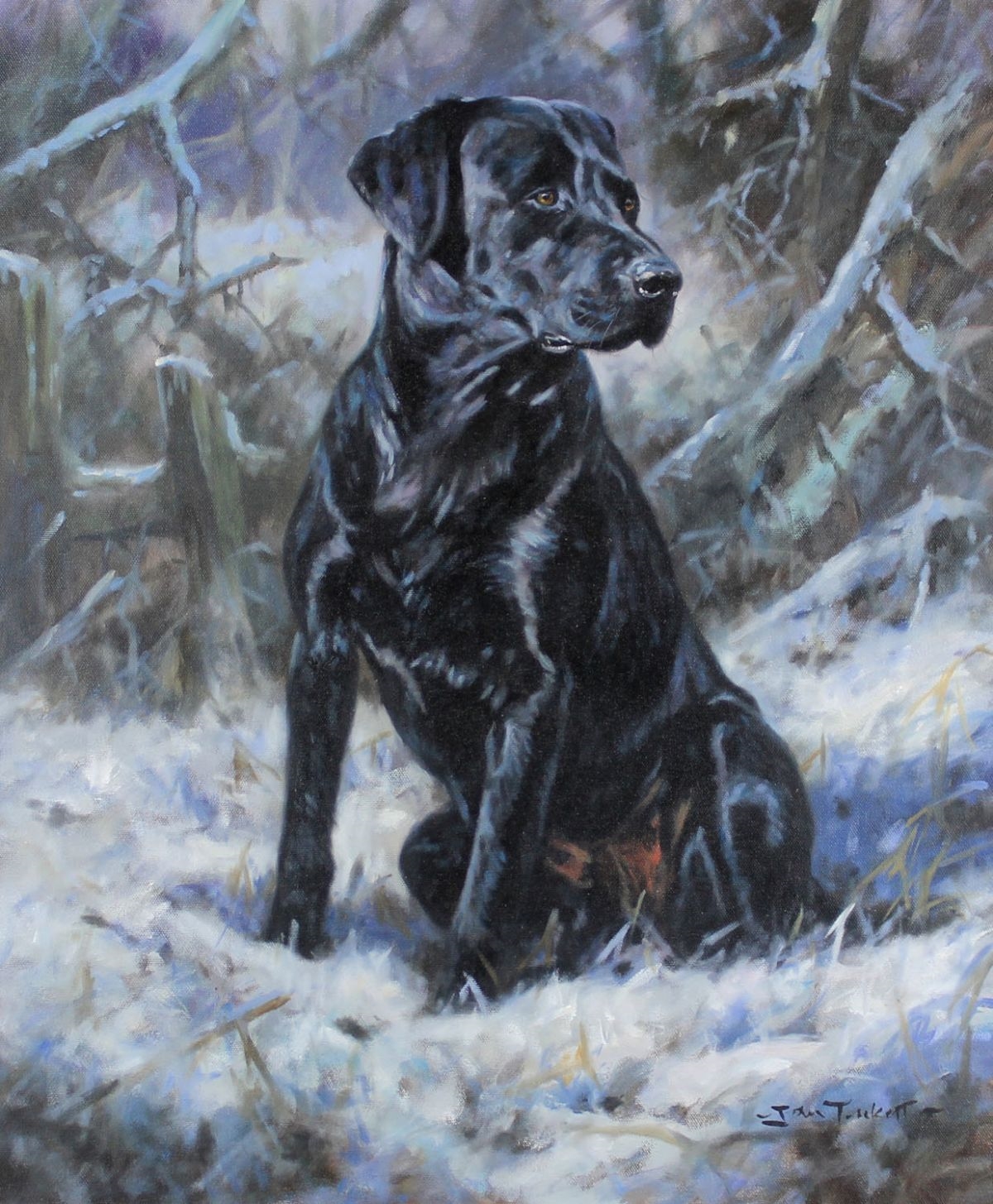 John Trickett | Black Labrador in the Snow | MutualArt