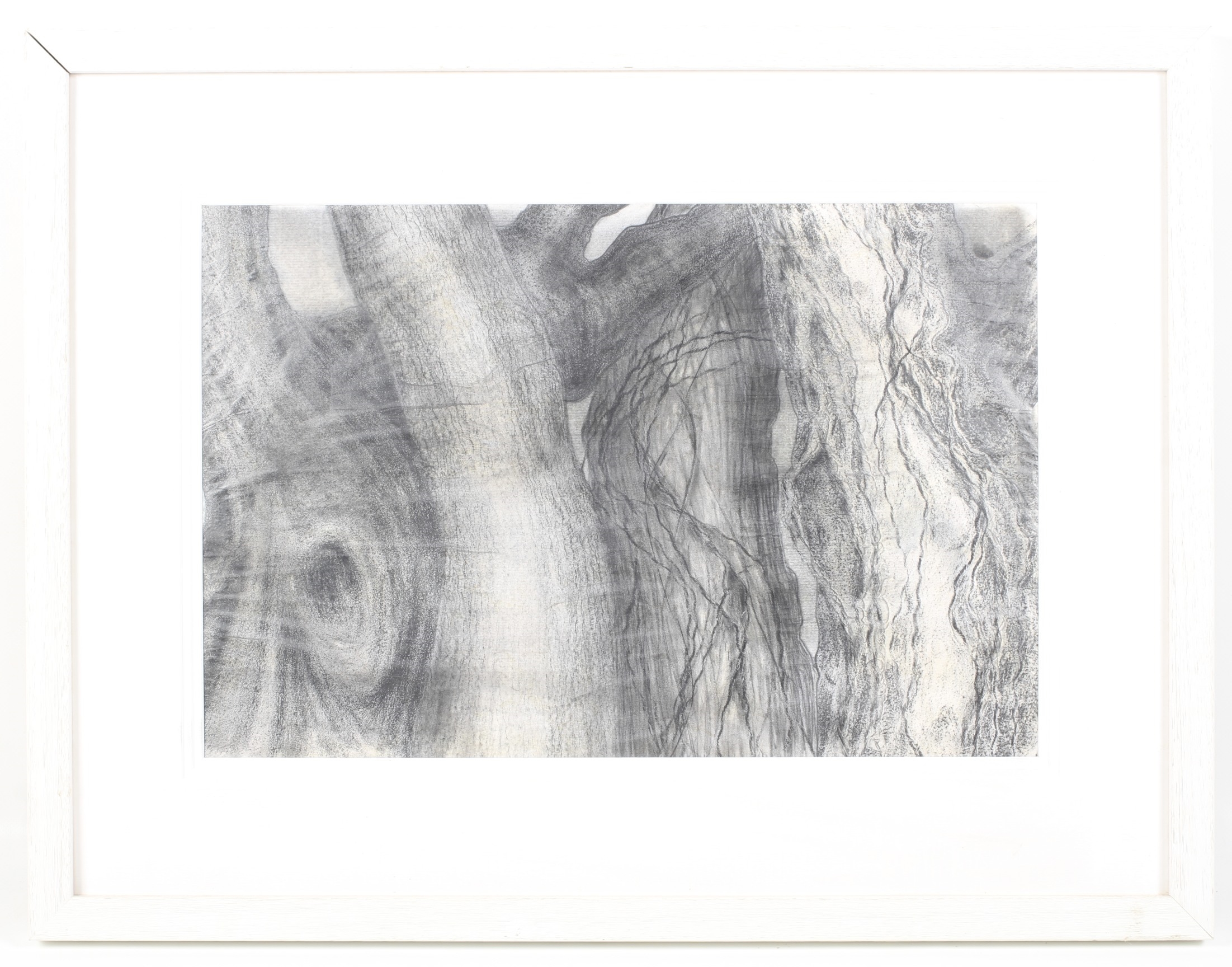 Costas Mikellides | Australian Tree | MutualArt