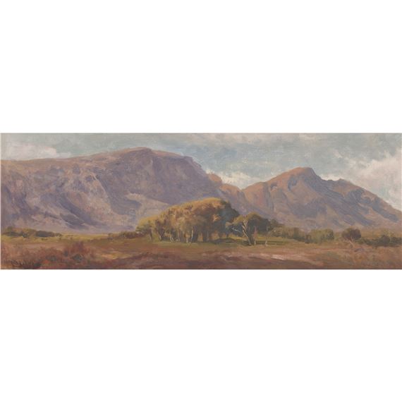 Edward Henry Holder | SOUTH AFRICAN PANORAMA | MutualArt